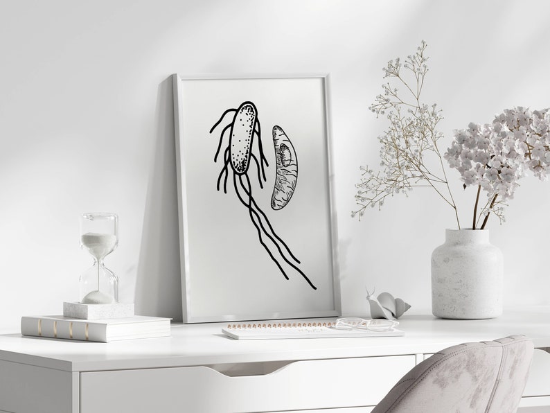 Microbiology Poster Bacteria Art Biology Student Gift Microbiologist ...