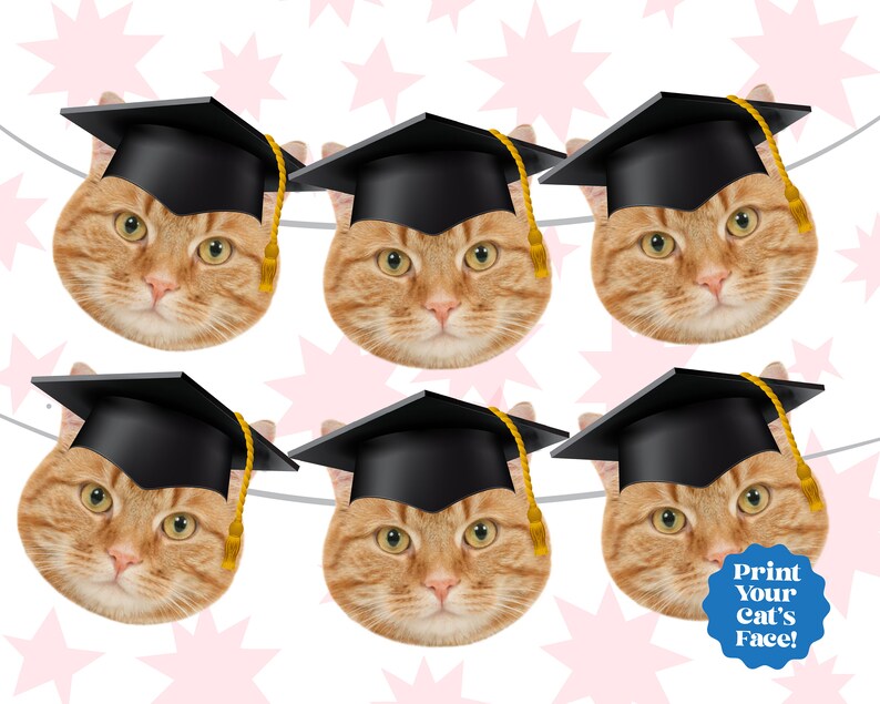Cat Graduation Banner Graduation Custom Banner Graduation - Etsy