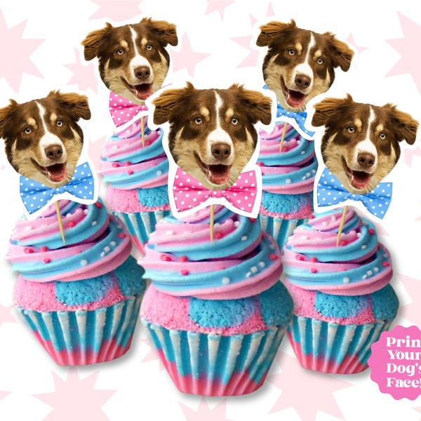 Dog Gender Reveal Decorations - Etsy