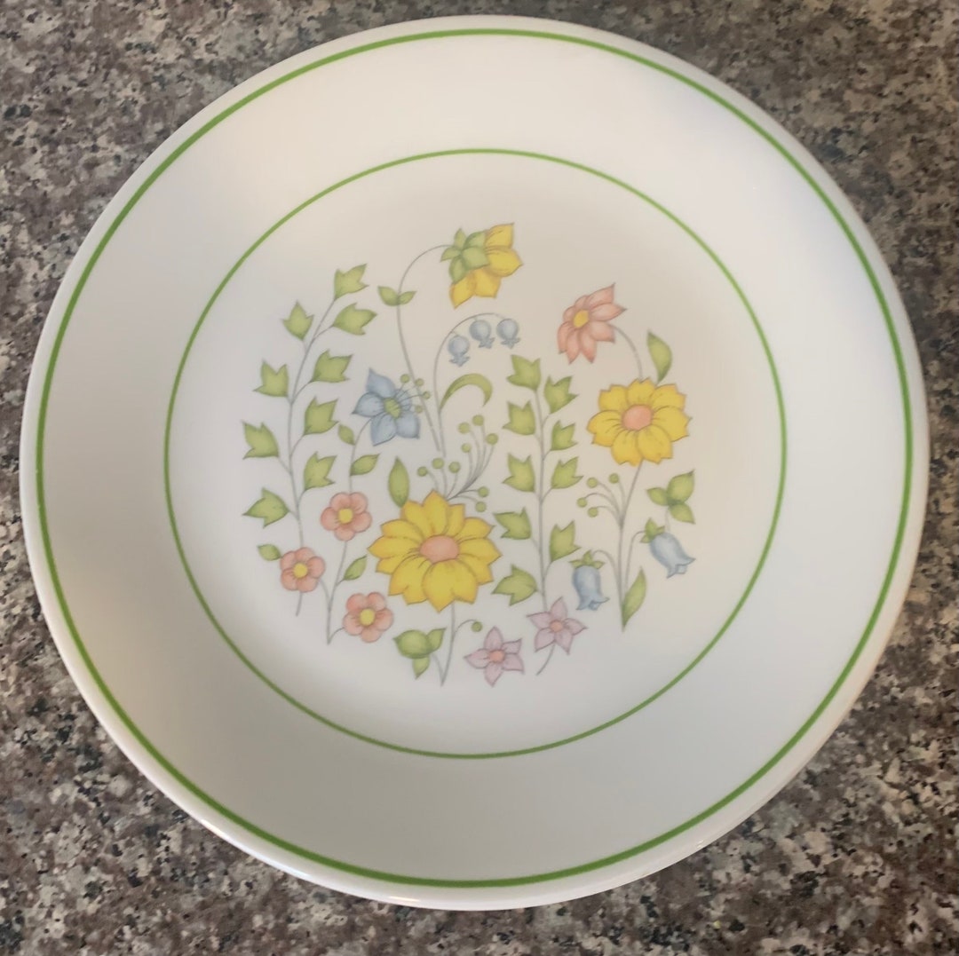 Vintage Set of 5 Corelle Meadow by Corning Salad Plates - Etsy