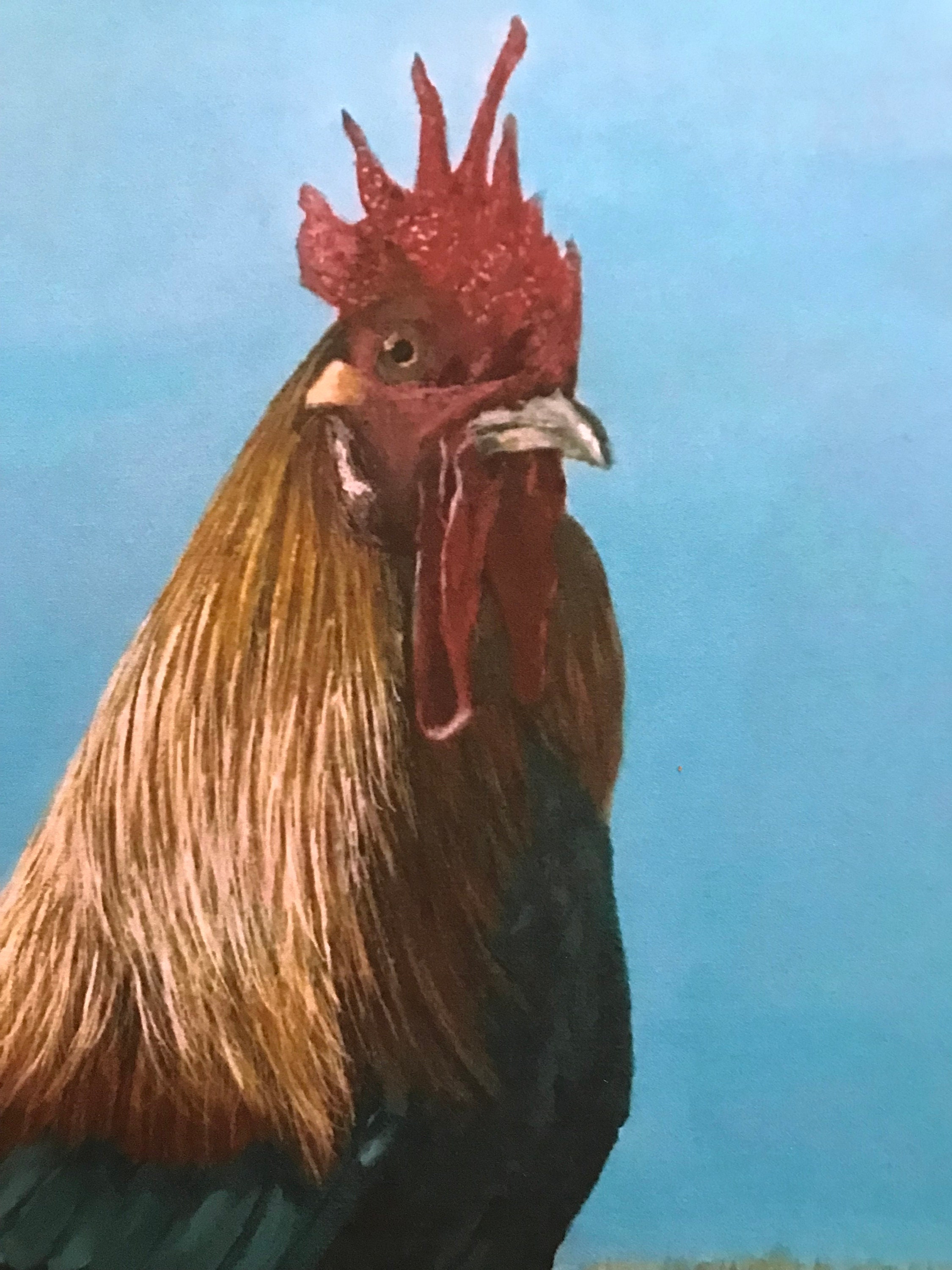 Rooster Acrylic Painting on 16x20 Inch Canvas, Realistic Bird Art ...