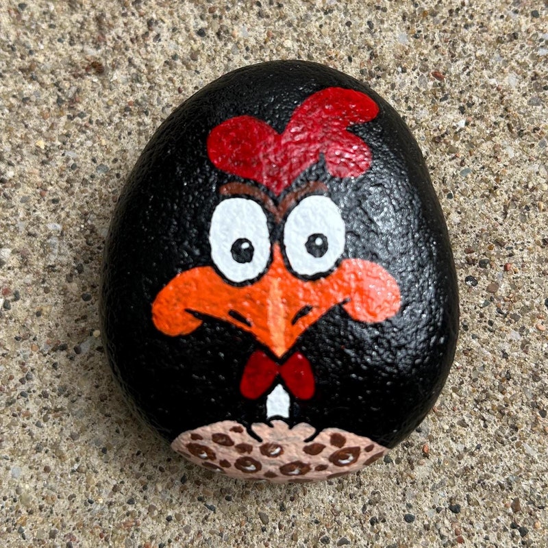 Funny Painted Rocks - Etsy
