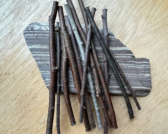 Birch Bark Tubes, 3 Birch Tubes, Birch Craft Supply, Gift for Crafter ...