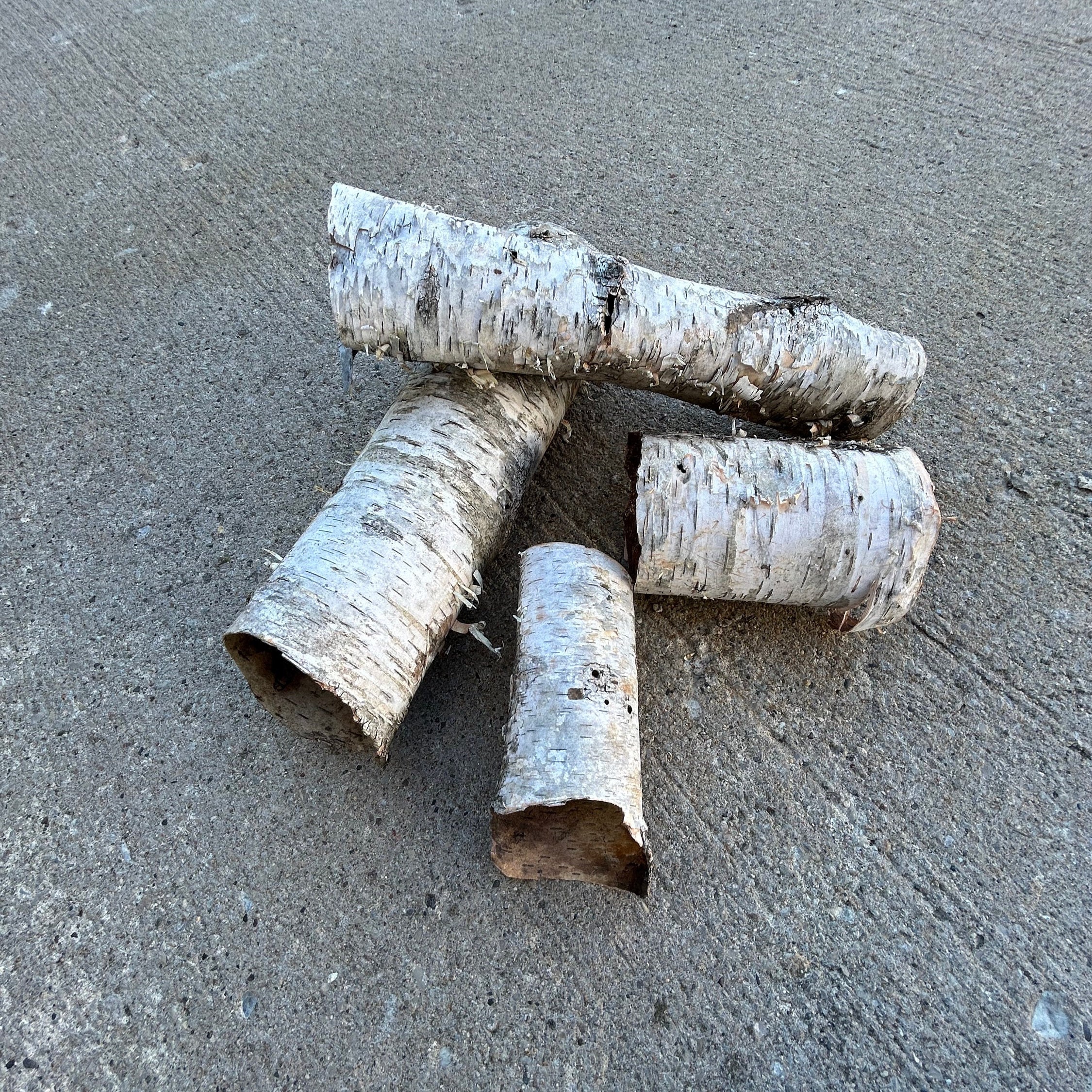 Birch Bark Tubes, 4 Real Bark Tubes, Birch Decor, Birch Crafts ...