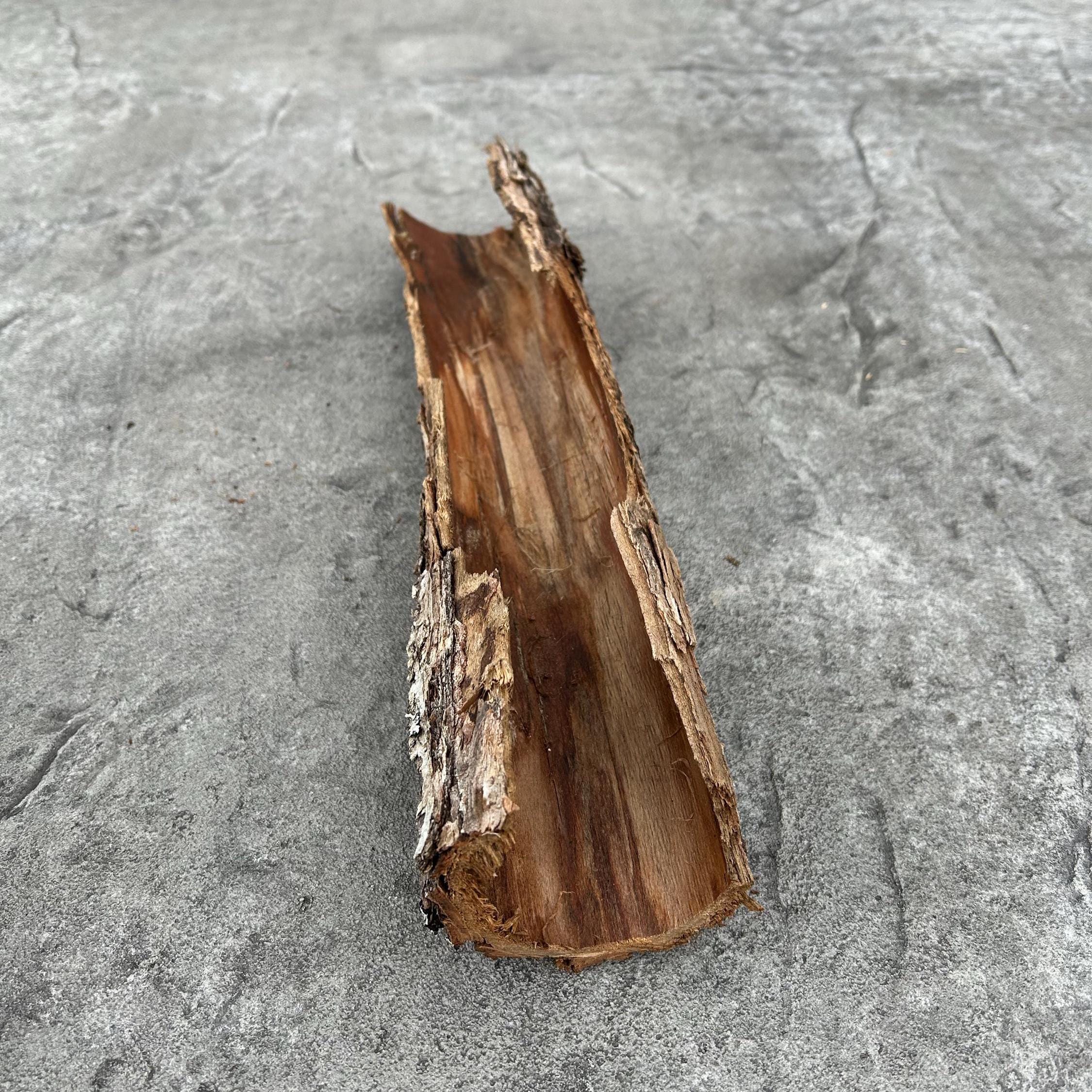 Pet Tunnel, Real Bark Tunnel, Snake or Small Rodent Tunnel, Animal Hide ...