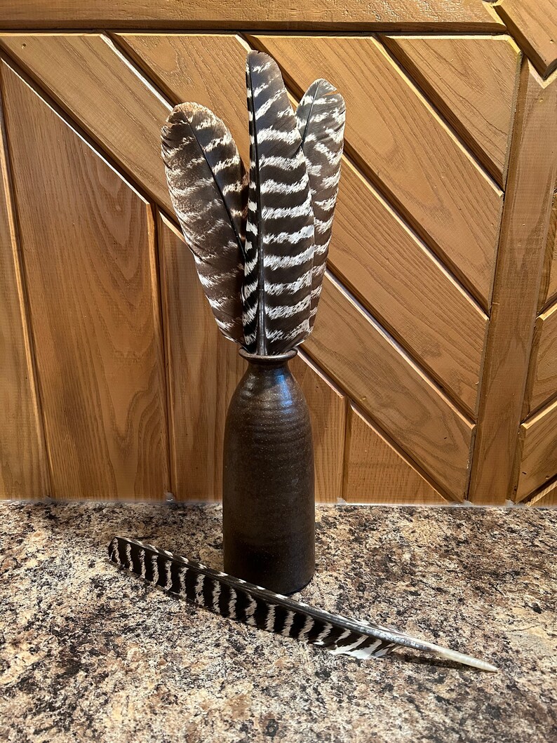 5 Wild Turkey Feathers, Smudge Feathers, Wing Feathers, Quill Pens ...