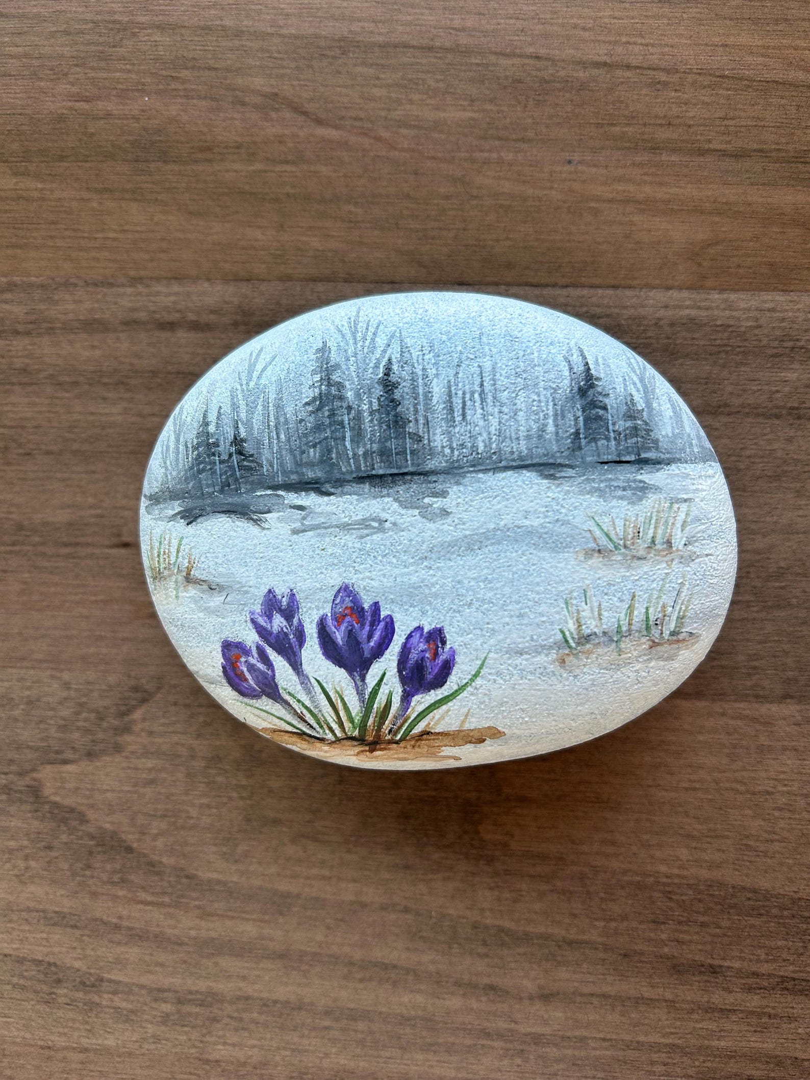 Crocuses in Snow Painted Rock, Hand Painted Rock, Rock Art, Winter ...