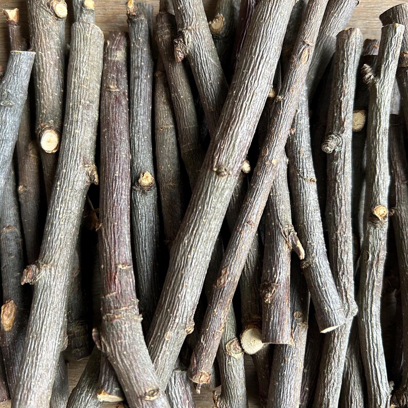 45 Dried Craft Sticks, All Natural Apple Sticks, Rustic Craft Twigs ...