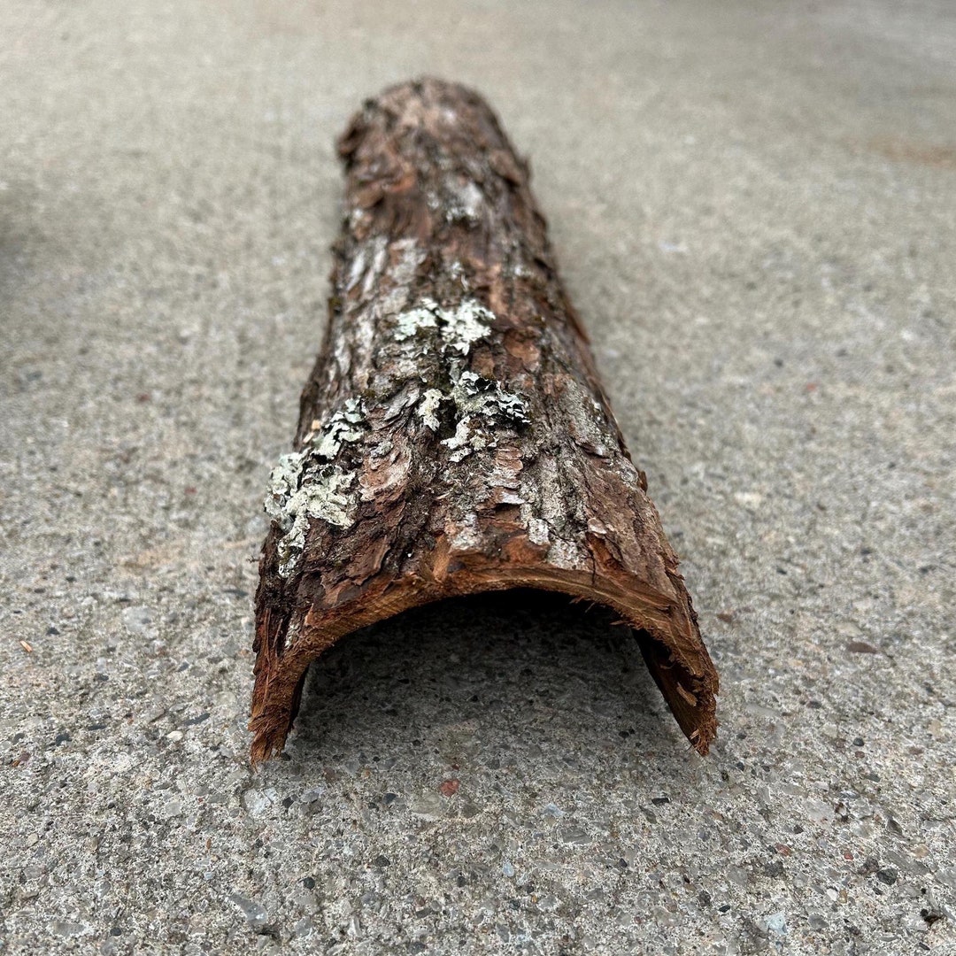 Real Bark Tunnel, Snake or Small Rodent Tunnel, Animal Hide, Pet Tunnel ...