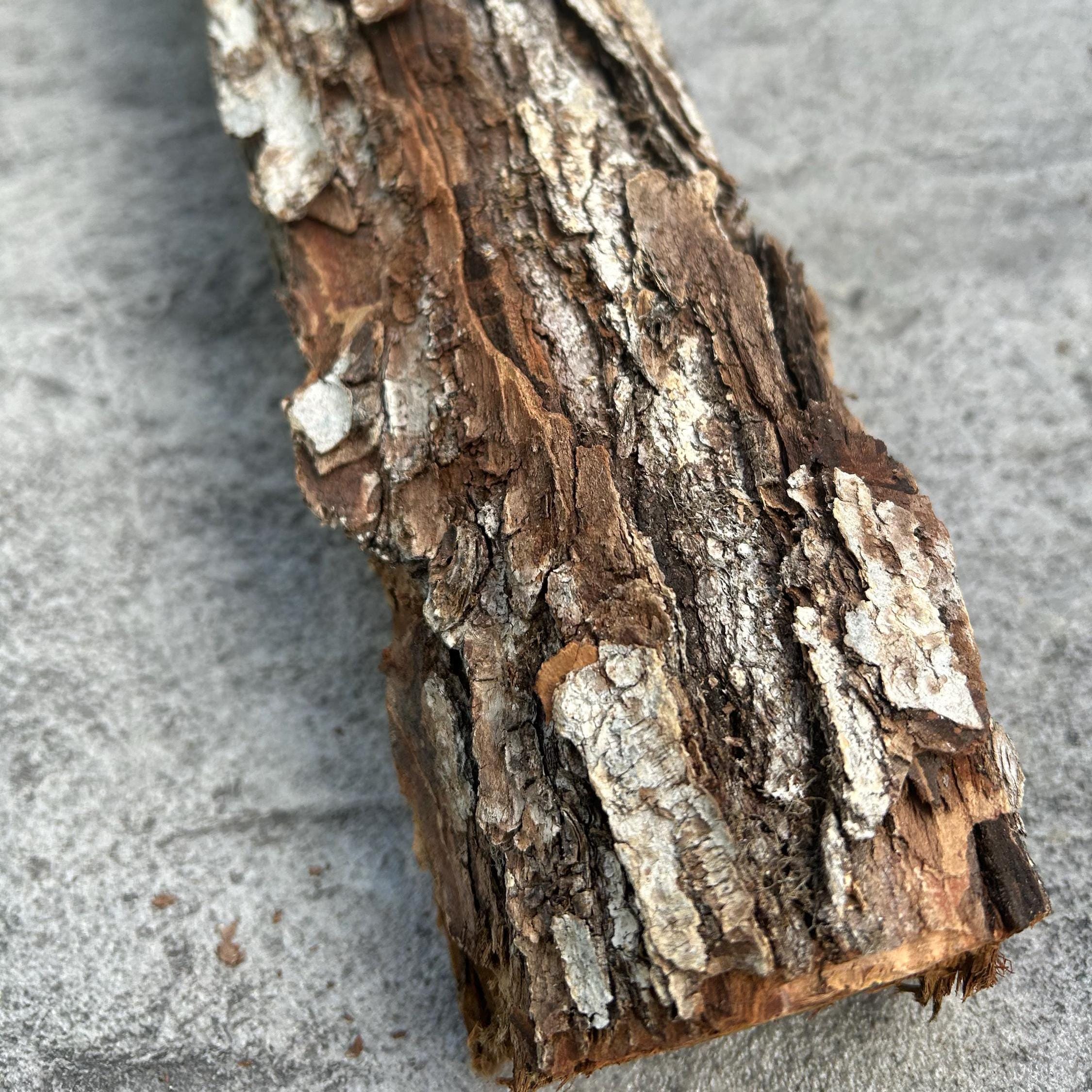 Pet Tunnel, Real Bark Tunnel, Snake or Small Rodent Tunnel, Animal Hide ...