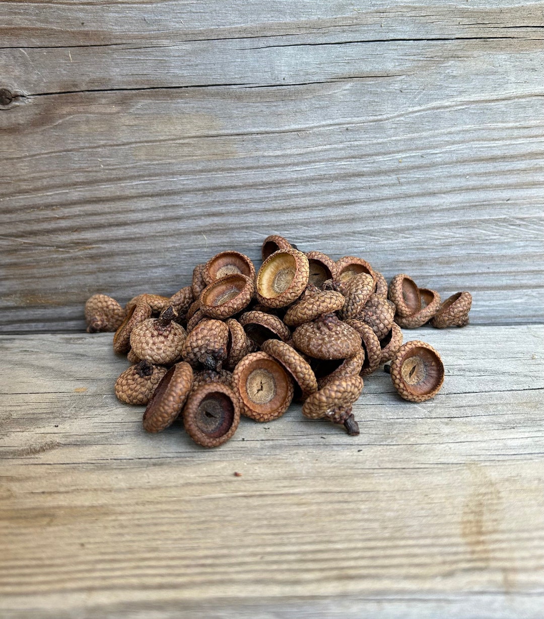 Dried Acorn Caps, Fairy Hats, Felt Caps, Crafting Supplies, Fall Decor ...