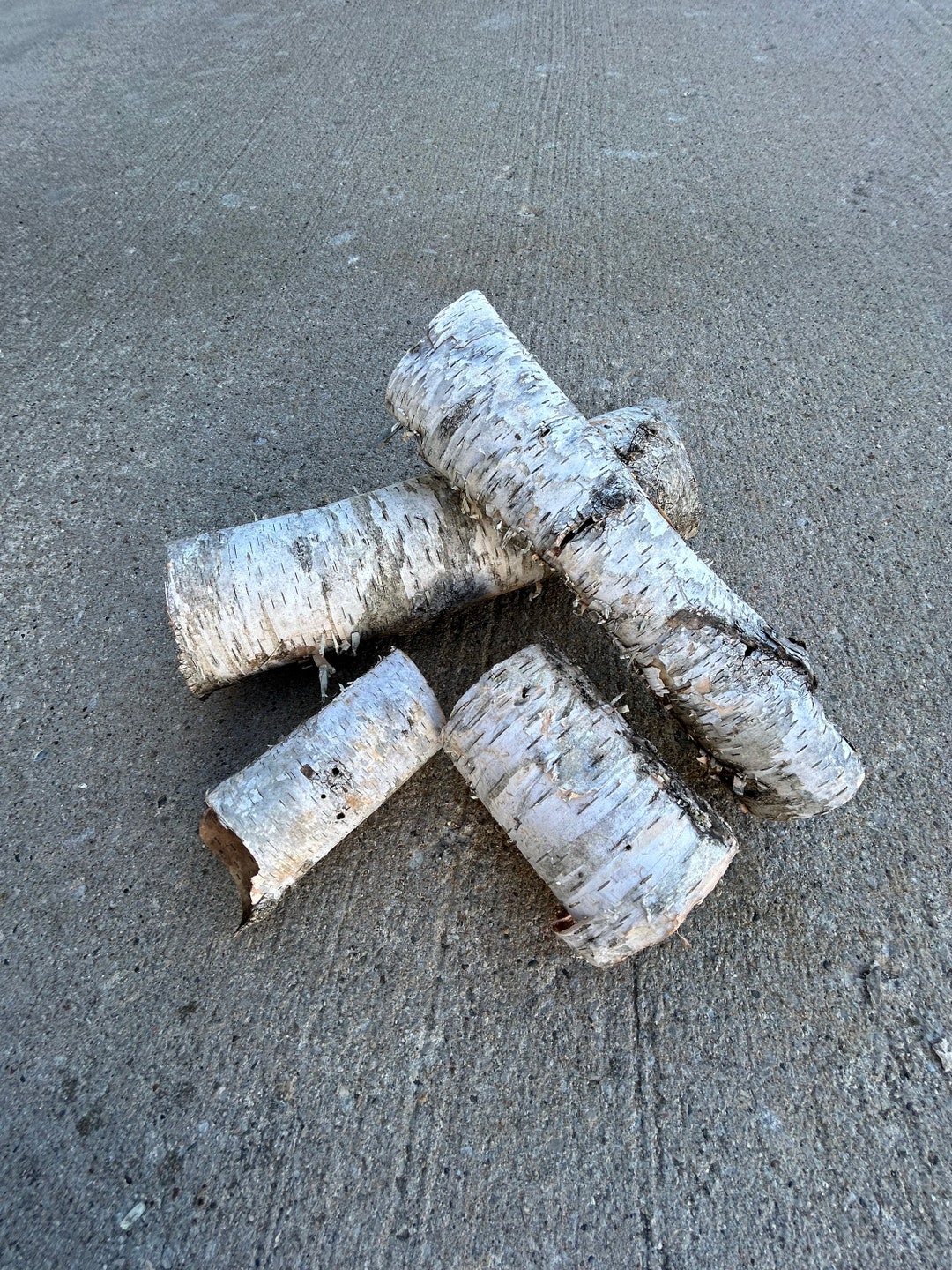 Birch Bark Tubes, 4 Real Bark Tubes, Birch Decor, Birch Crafts ...