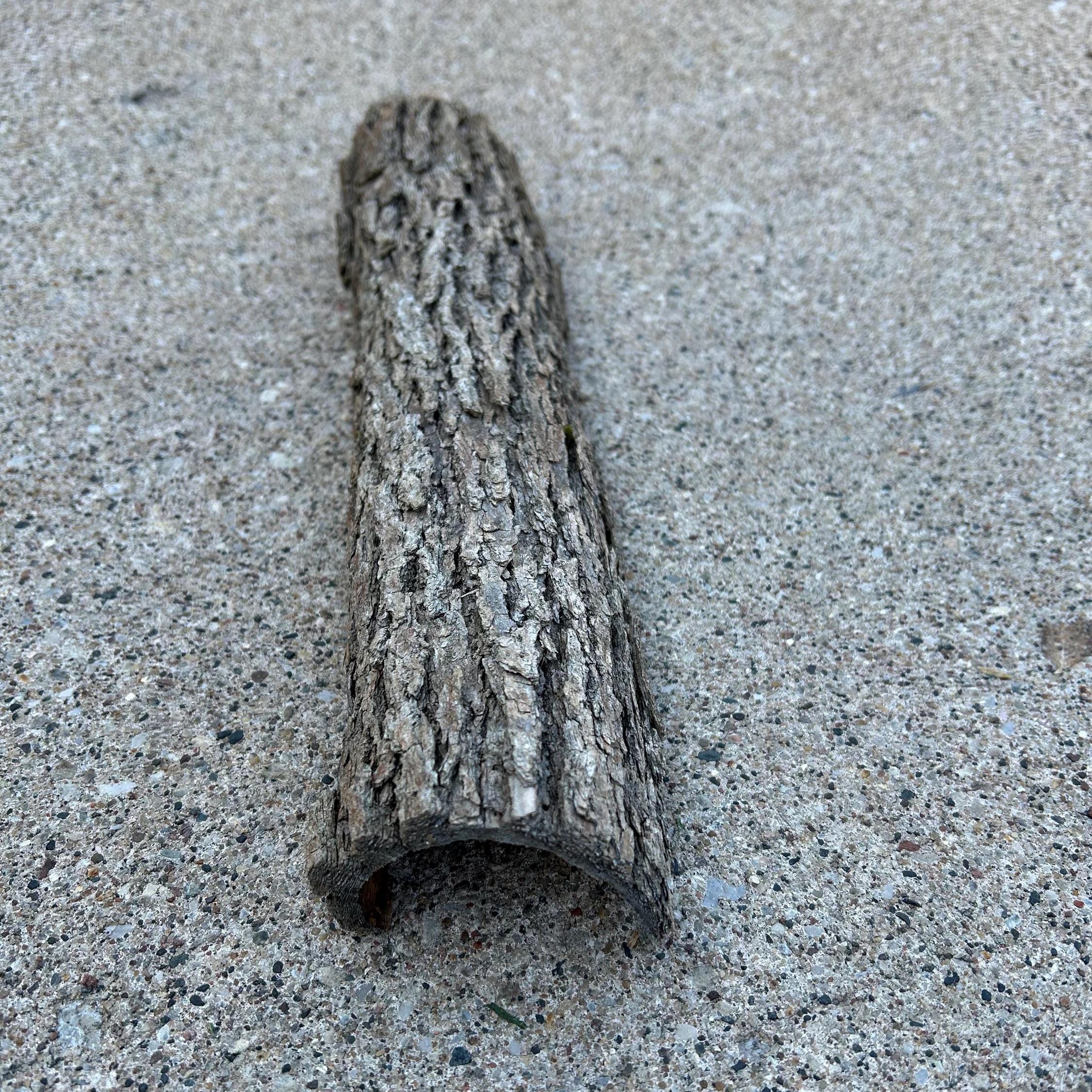 Real Bark Tunnel, Snake or Small Rodent Tunnel, Animal Hide, Pet Tunnel ...