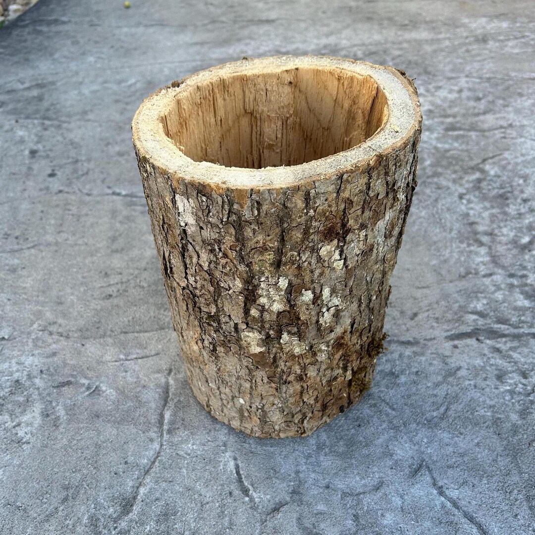 Real Hollow Log, Partial Hollow Log, Taxidermy Display, Unique Log ...