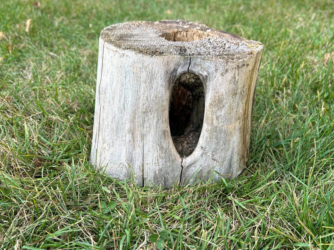 Gnome Home, Fairy House, Hollow Log, Fairy Log House, Fairy Garden ...