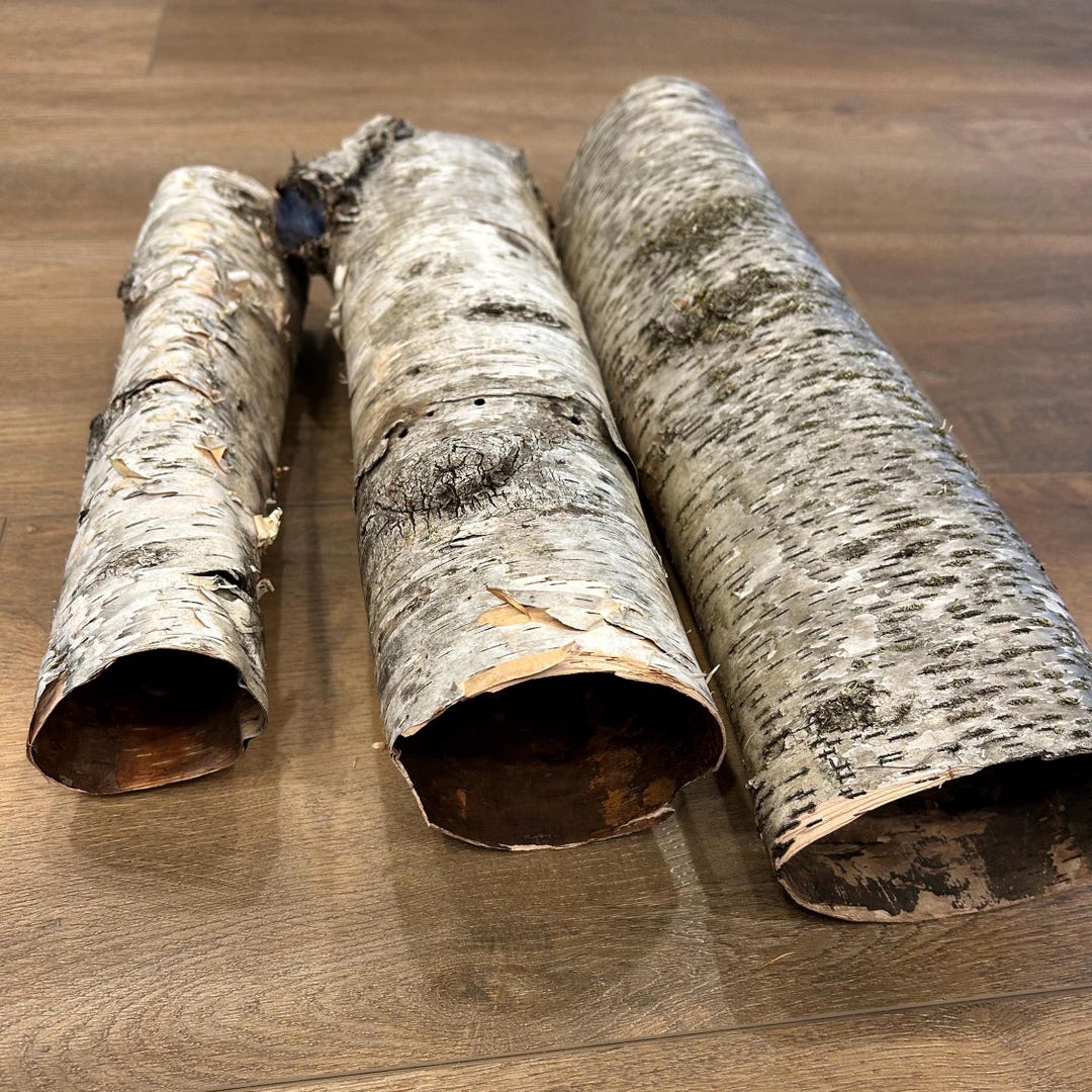 Birch Bark Tubes, 3 Birch Tubes, Birch Craft Supply, Gift for Crafter ...