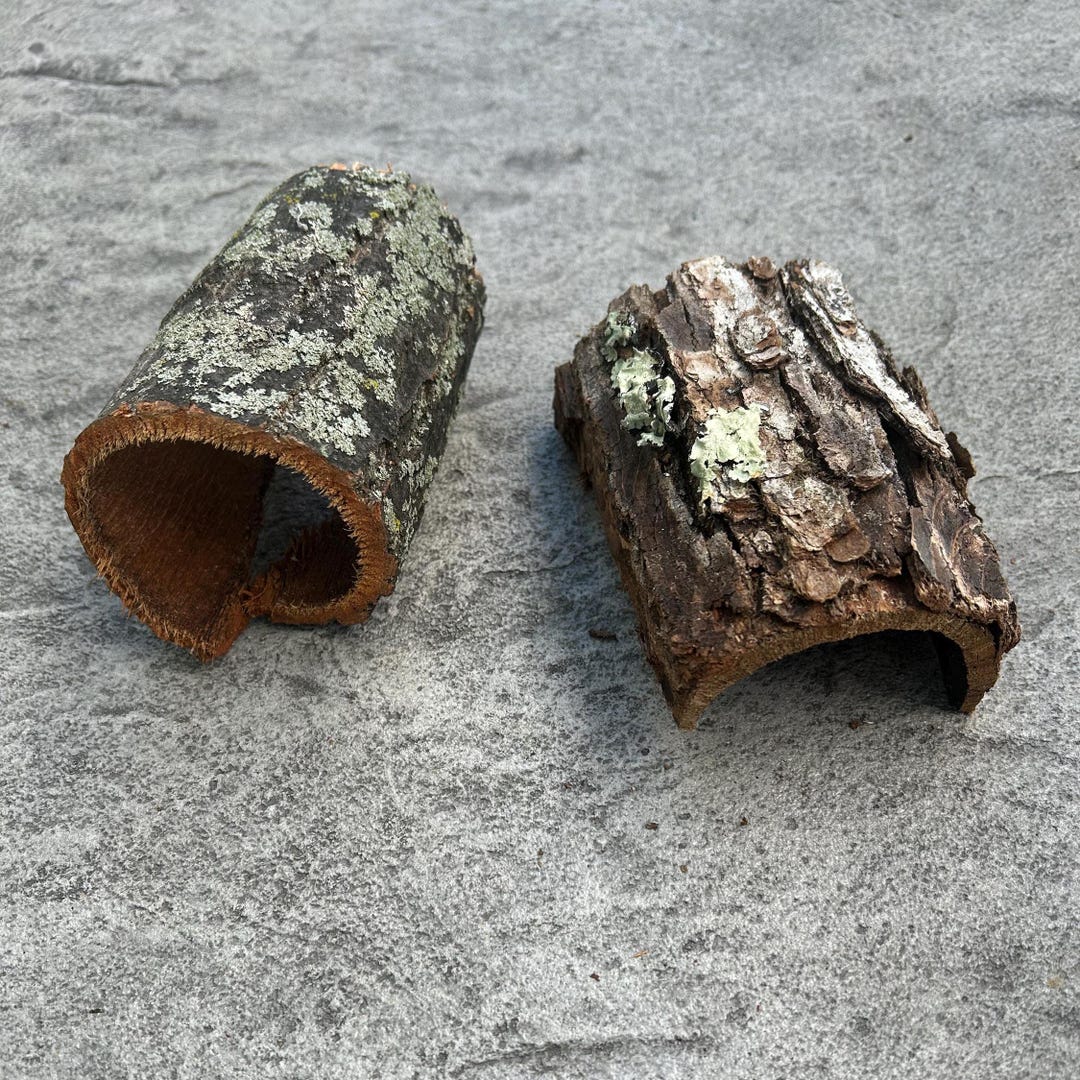 Set of 2 Natural Wood Hides, Real Bark Tunnel, Snake or Small Rodent ...