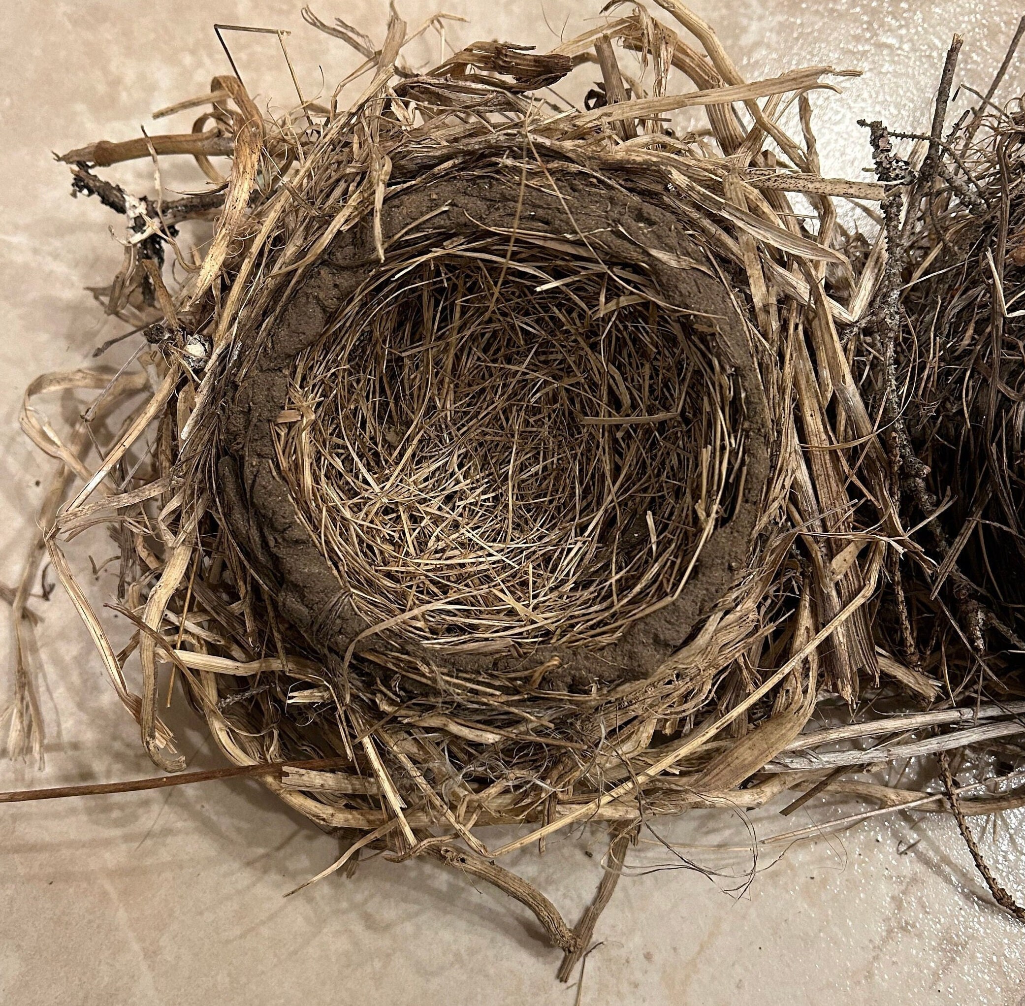 TWO Bird Nests, Mud Nest, Animal Homes, Garden Decor, Real Bird Nest ...