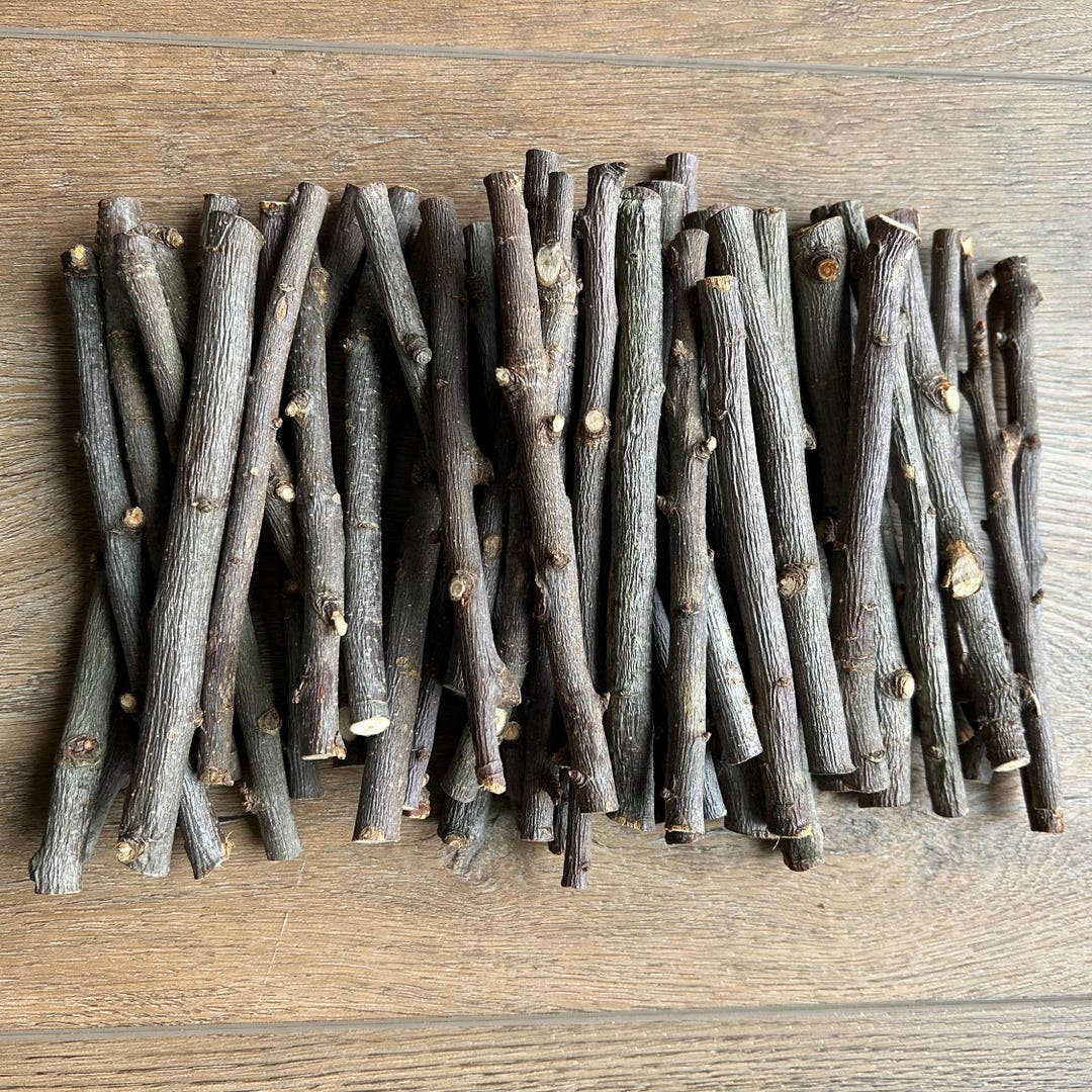 45 Dried Craft Sticks, All Natural Apple Sticks, Rustic Craft Twigs ...