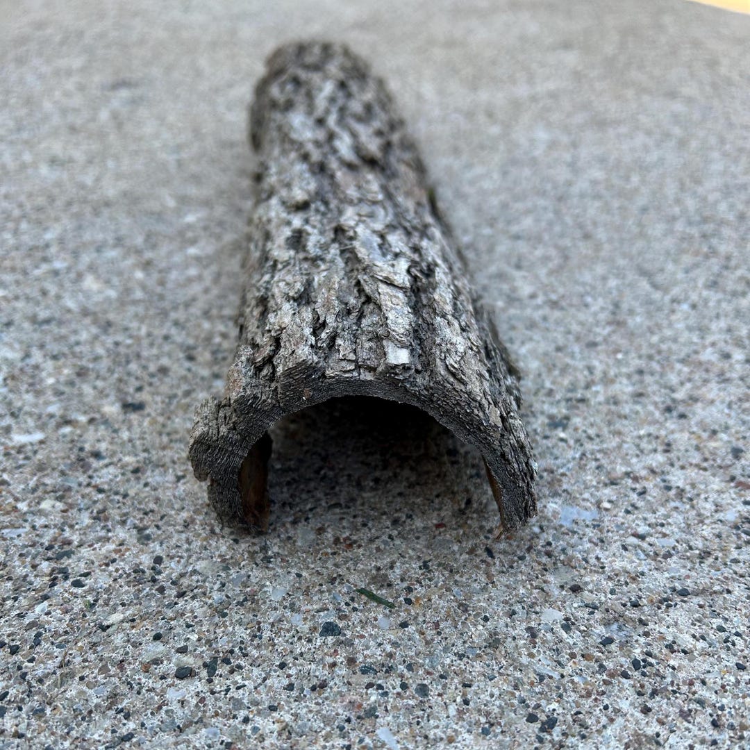 Real Bark Tunnel, Snake or Small Rodent Tunnel, Animal Hide, Pet Tunnel ...