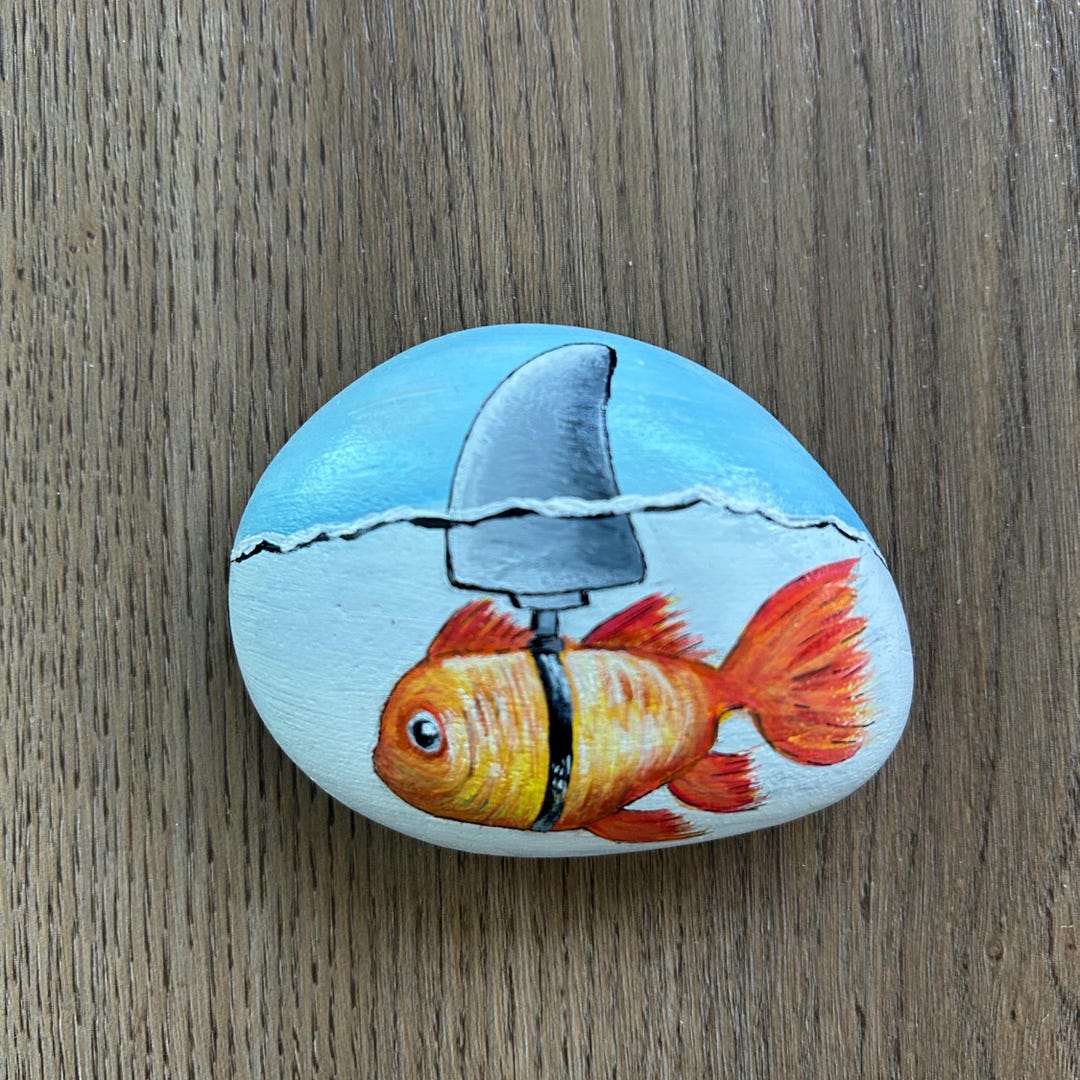 Funny Goldfish Shark Fin Rock, Hand Painted Goldfish, Unique Gifts ...