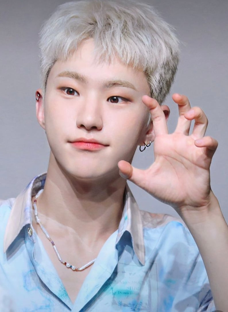 Hoshi Horanghae Seventeen SVT Carat Edit Face the Sun K-pop Art Digital ...