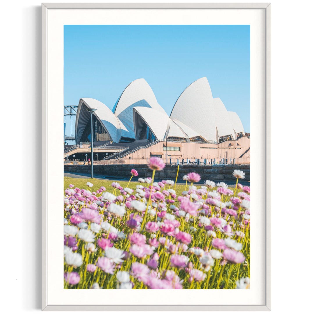 Sydney Opera House Print | Sunrise Photography | Australian Daisy ...