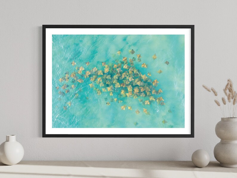 Stingrays Print | Aerial Photography | Port Stephens | Shoal Bay ...