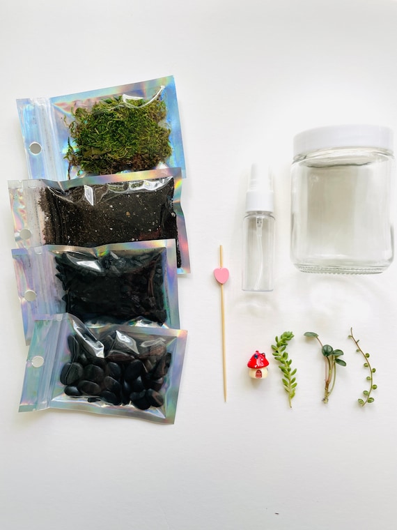 Tiny Terrarium Kit Micro Ecosystem Fairy Garden - Etsy