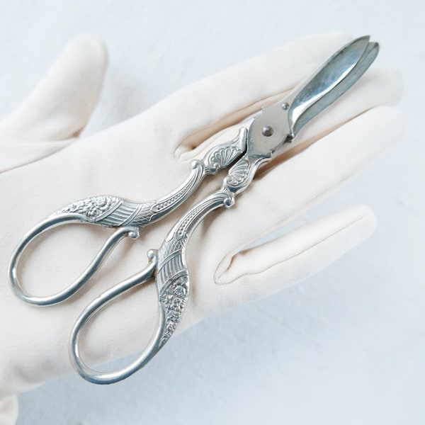 Antique Scissors - Etsy