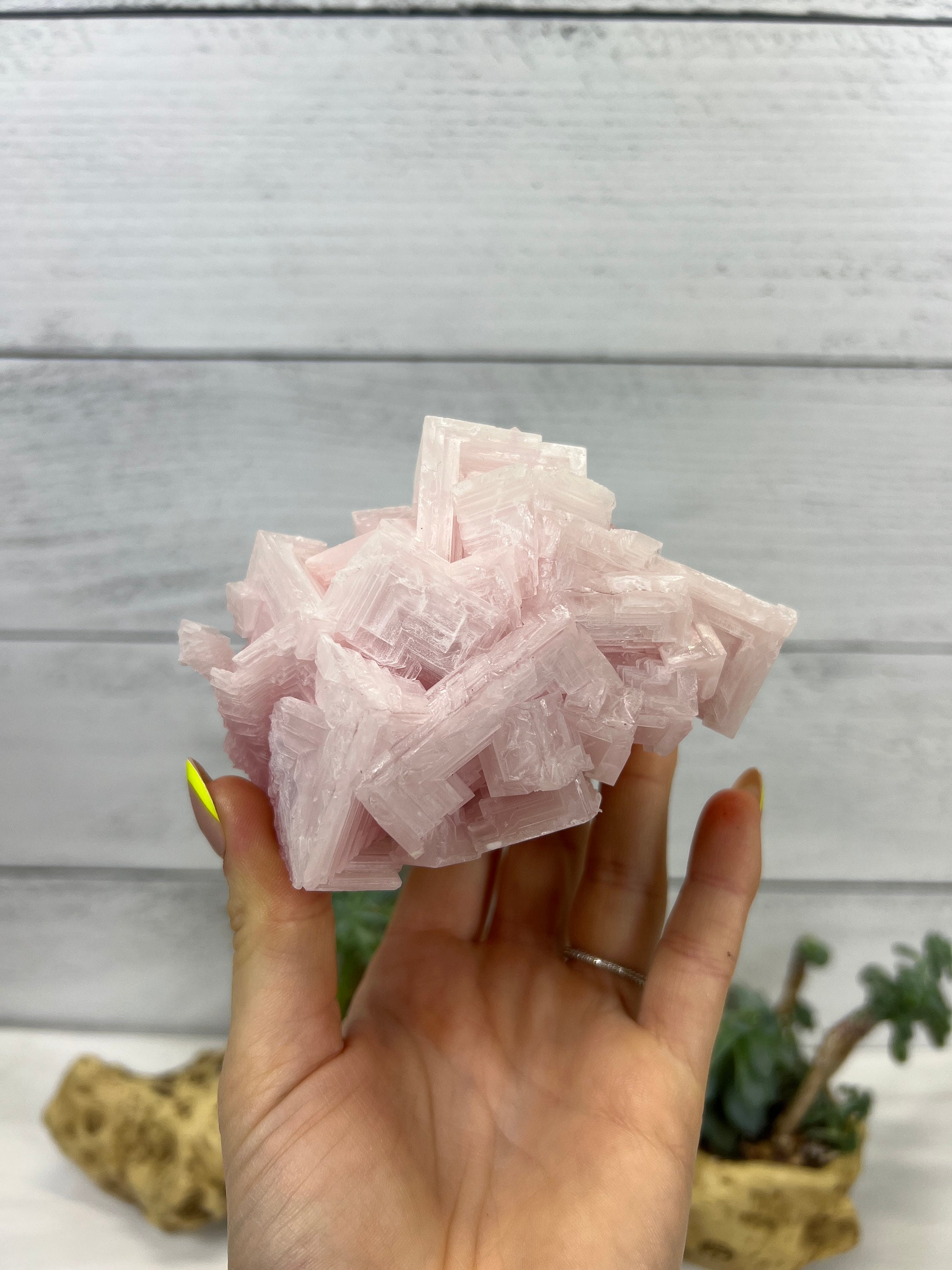 Pink Halite Crystal Halite Crystal From Searles Lake, Trona California ...