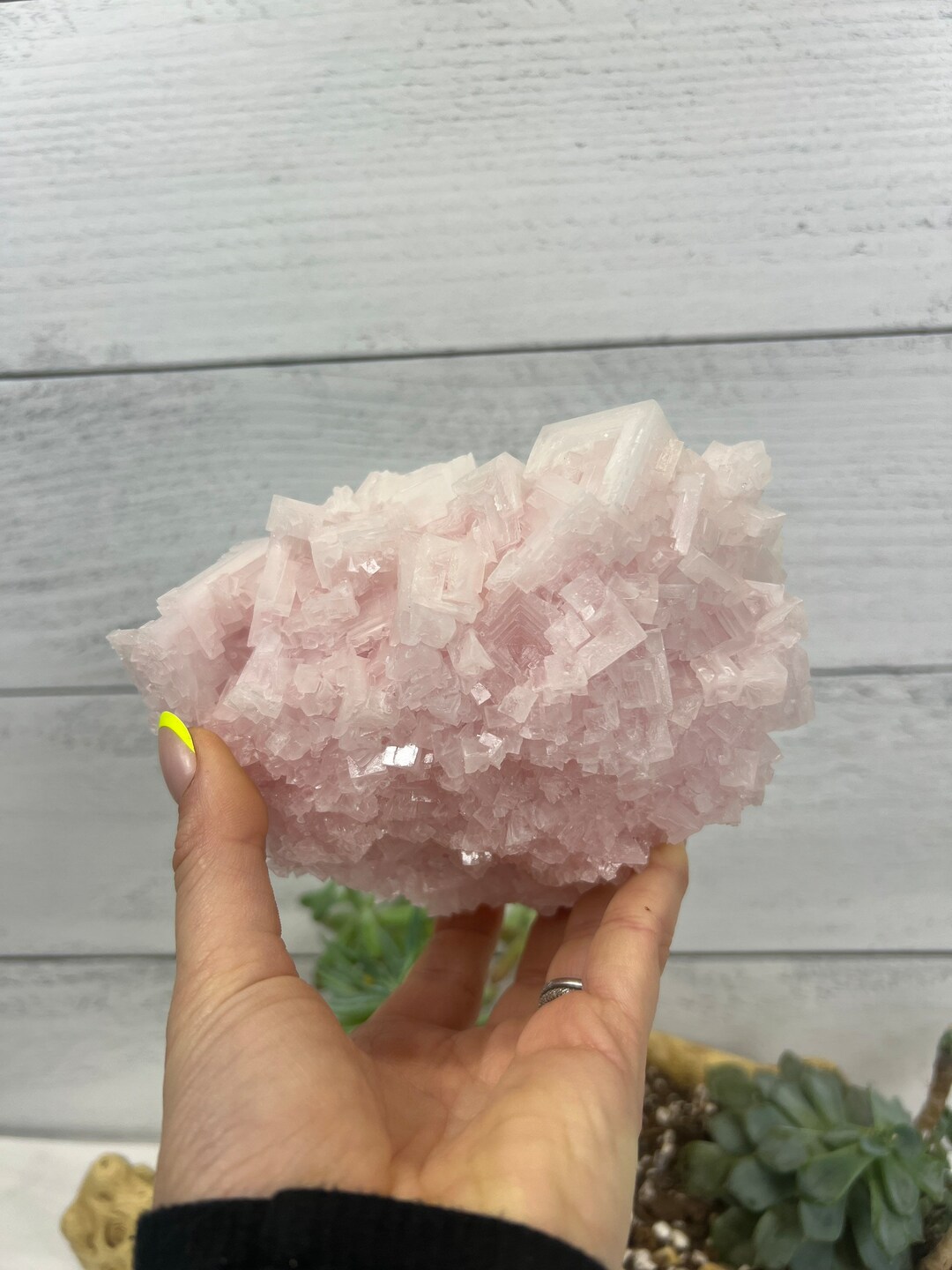 XXL Pink Halite Crystal Halite Crystal From Searles Lake, Trona ...