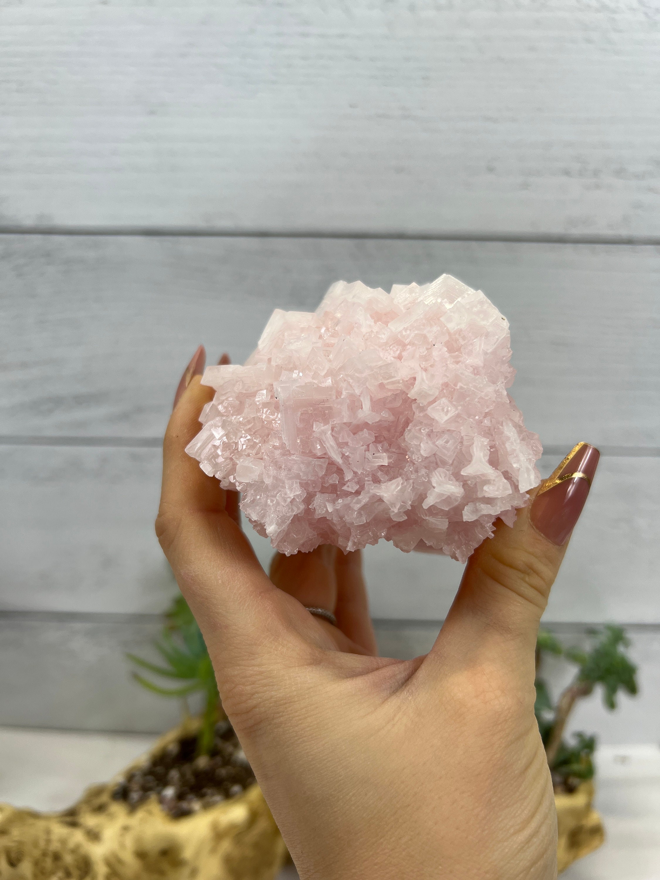 Pink Halite Crystal Halite Crystal From Searles Lake Trona - Etsy