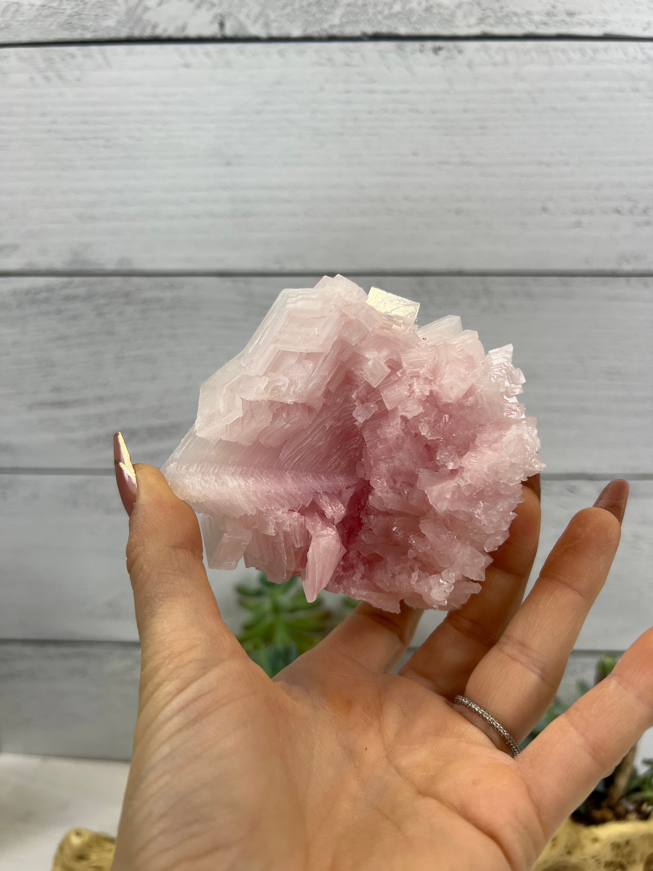 Pink Halite Crystal Halite Crystal From Searles Lake Trona - Etsy
