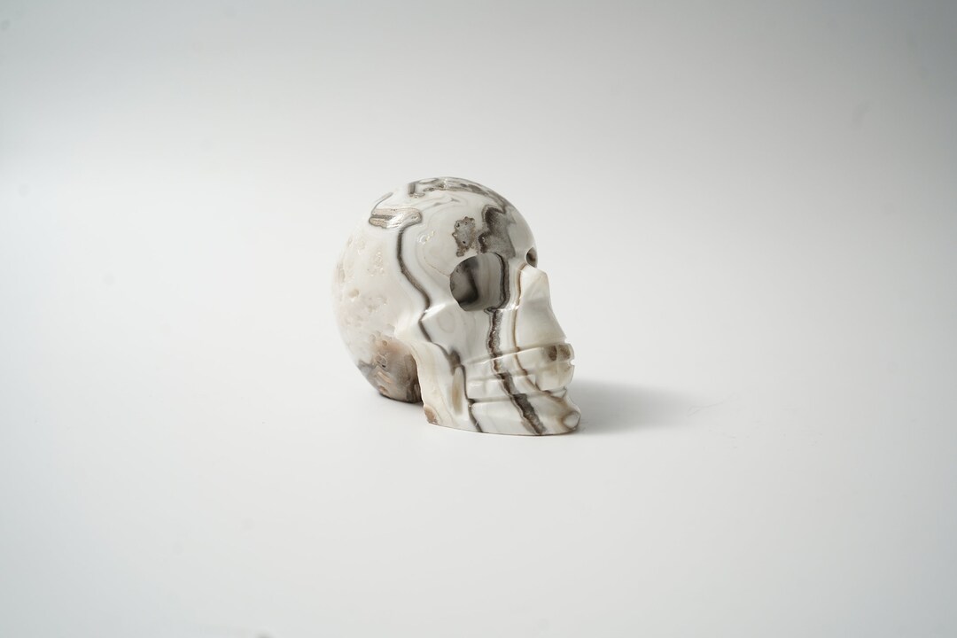 Zebra Calcite Skull Black & White Calcite Skull - Etsy