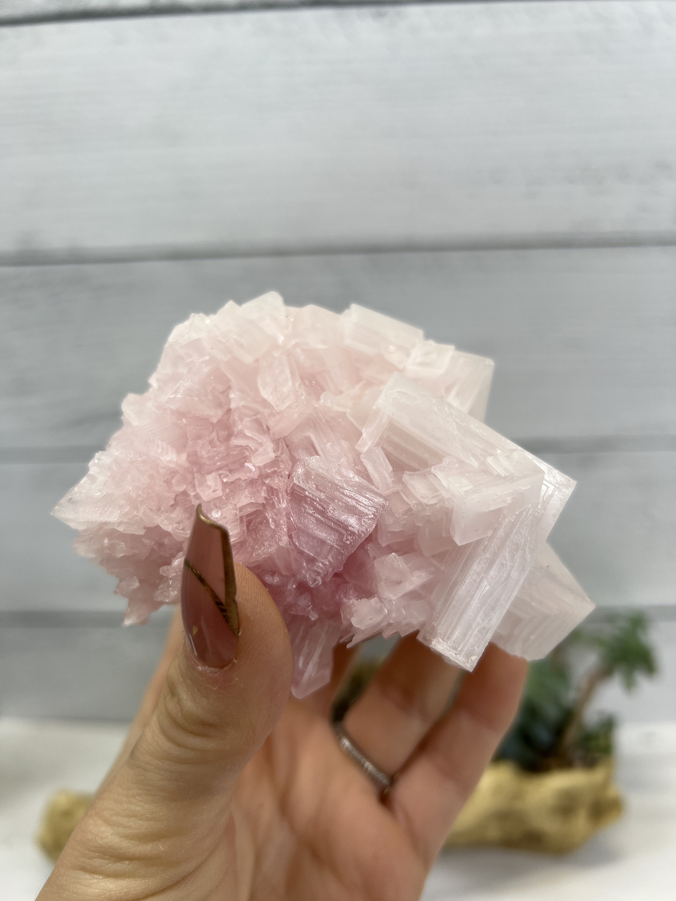 Pink Halite Crystal Halite Crystal From Searles Lake Trona - Etsy