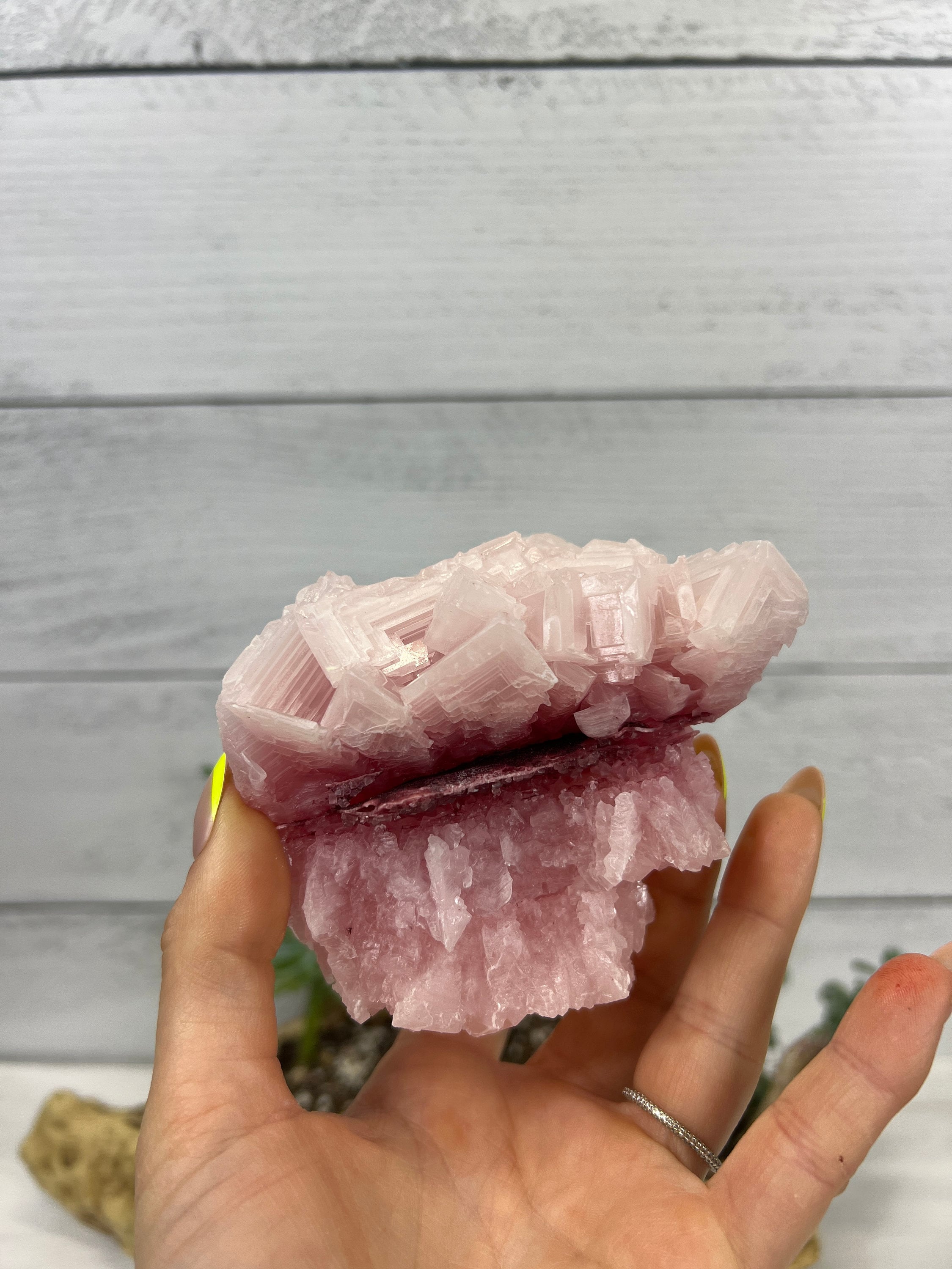 Pink Halite Crystal Halite Crystal From Searles Lake, Trona California ...