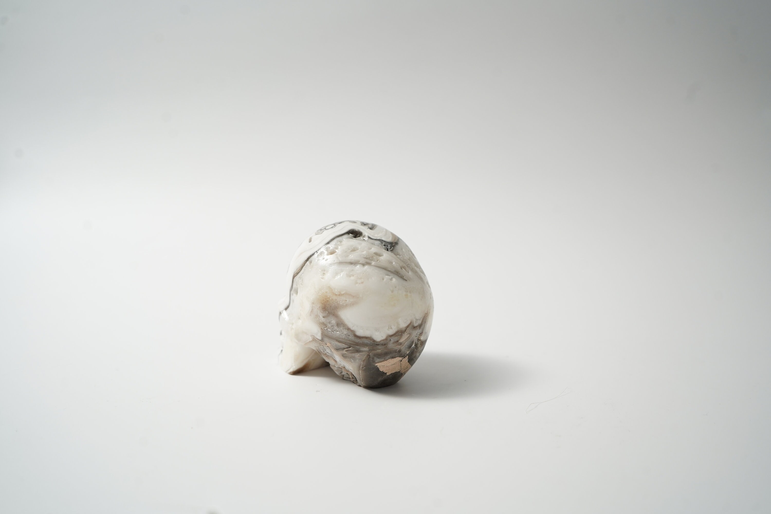 Zebra Calcite Skull Black & White Calcite Skull - Etsy