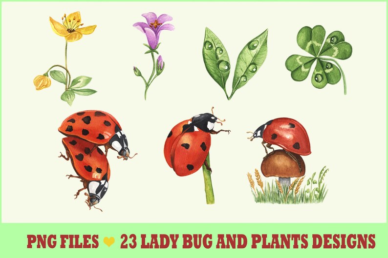 Watercolor Ladybug and Wildplant Clipart, Ladybug Bundle Design, Wild ...