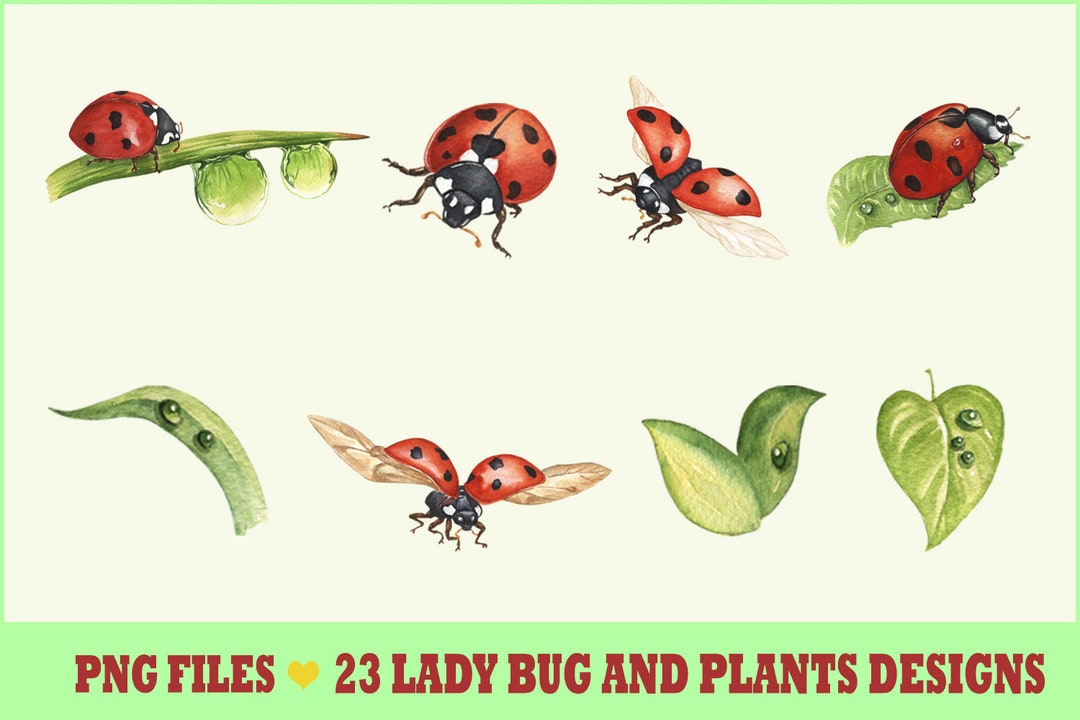 Watercolor Ladybug and Wildplant Clipart, Ladybug Bundle Design, Wild ...