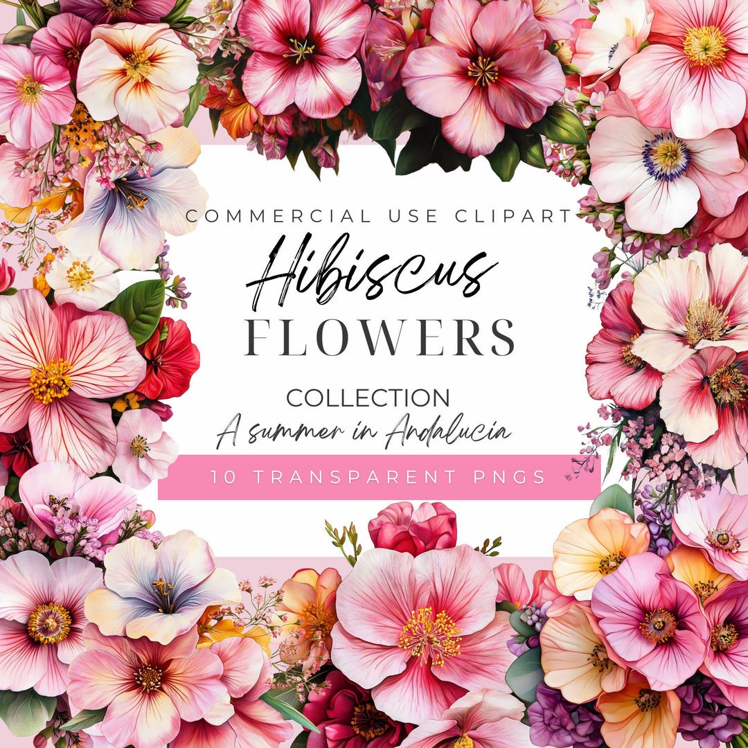 Hibiscus Clipart Bundle, Watercolor Illustrations - High Quality Pngs ...