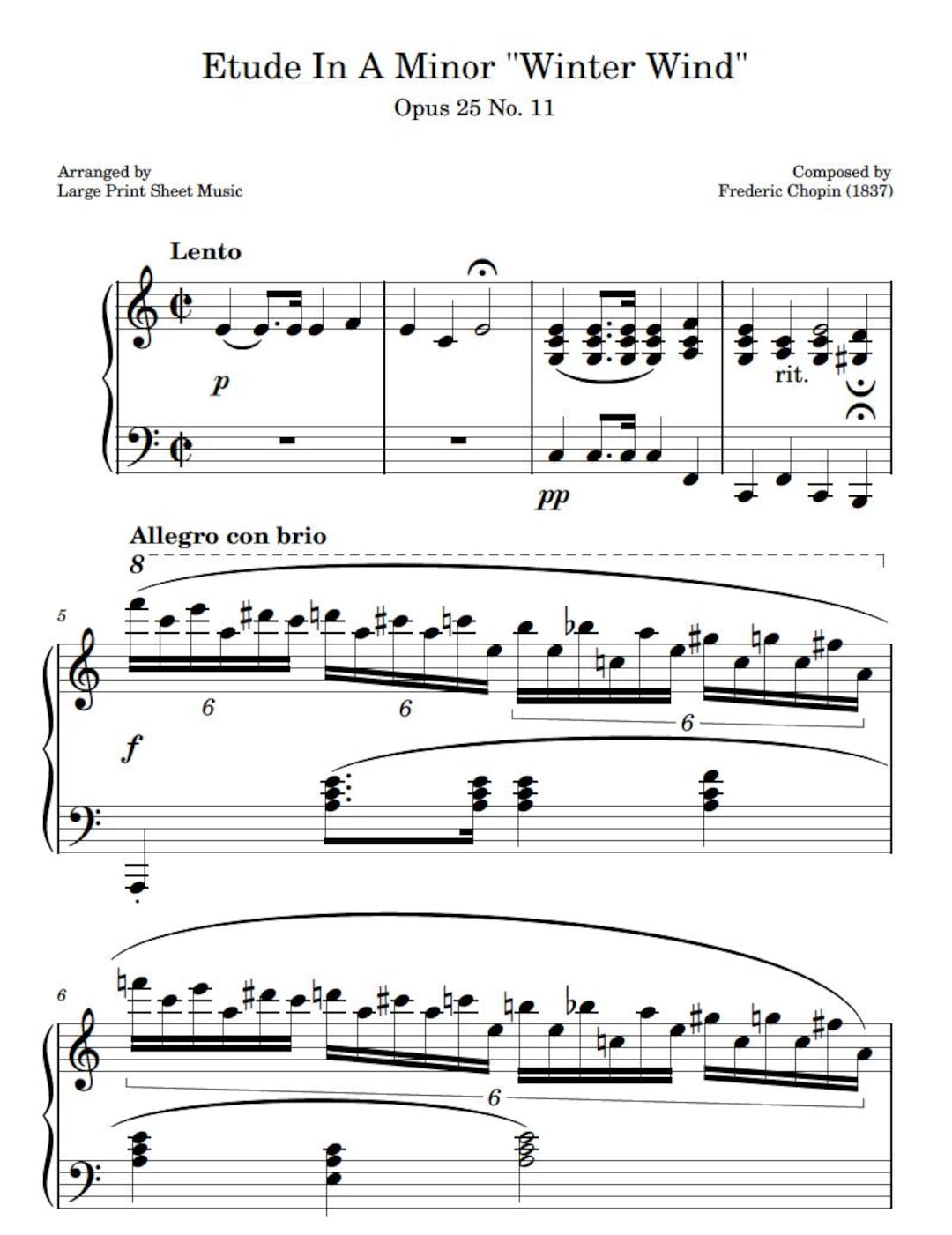 Chopin Winter Wind Etude: LARGE PRINT Piano Sheet Music (digital ...