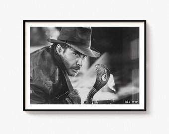 Indiana Jones raiders of the Lost Ark - Etsy