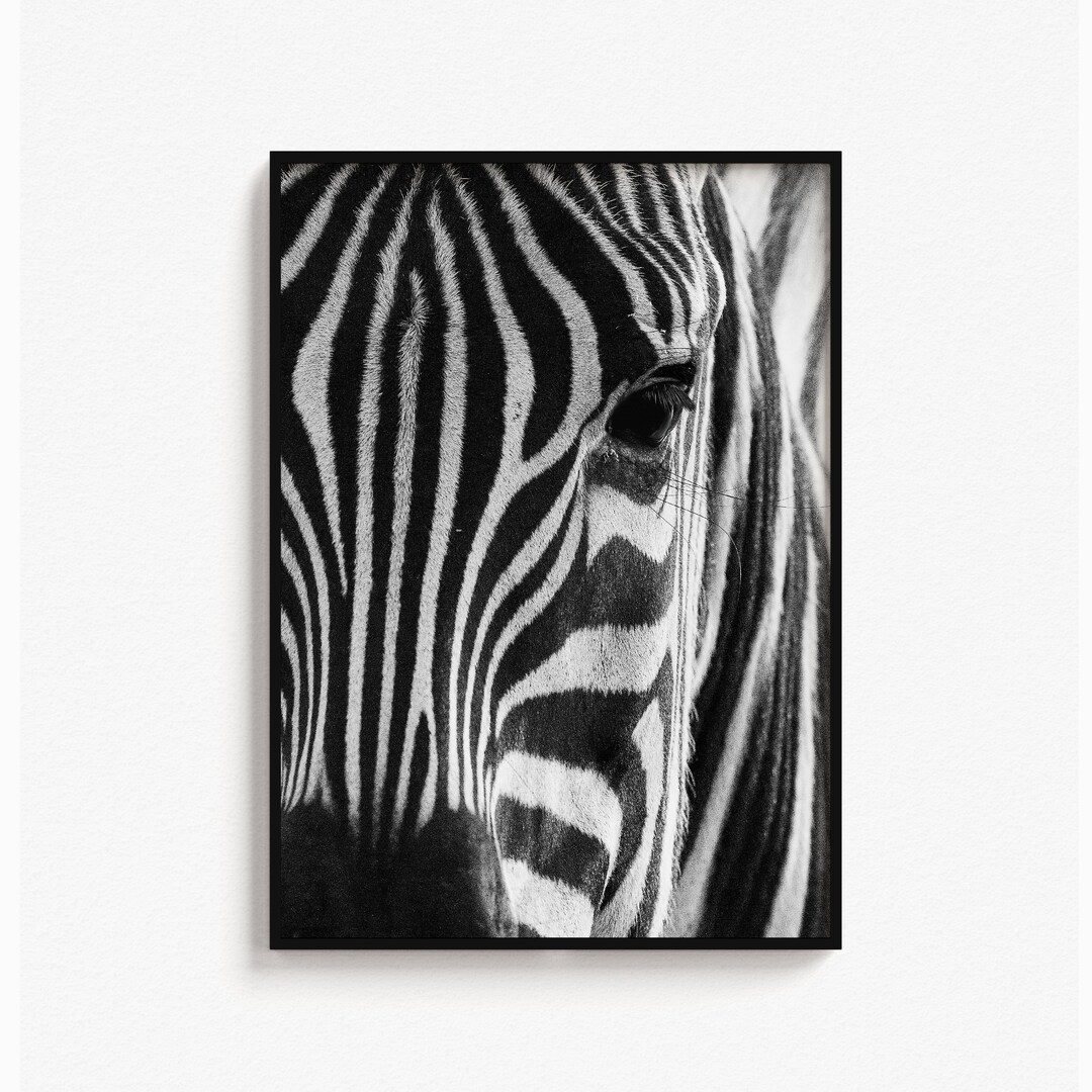 Zebra Face Wall Art Zebra Wall Art Zebra Photo Print Zebra - Etsy