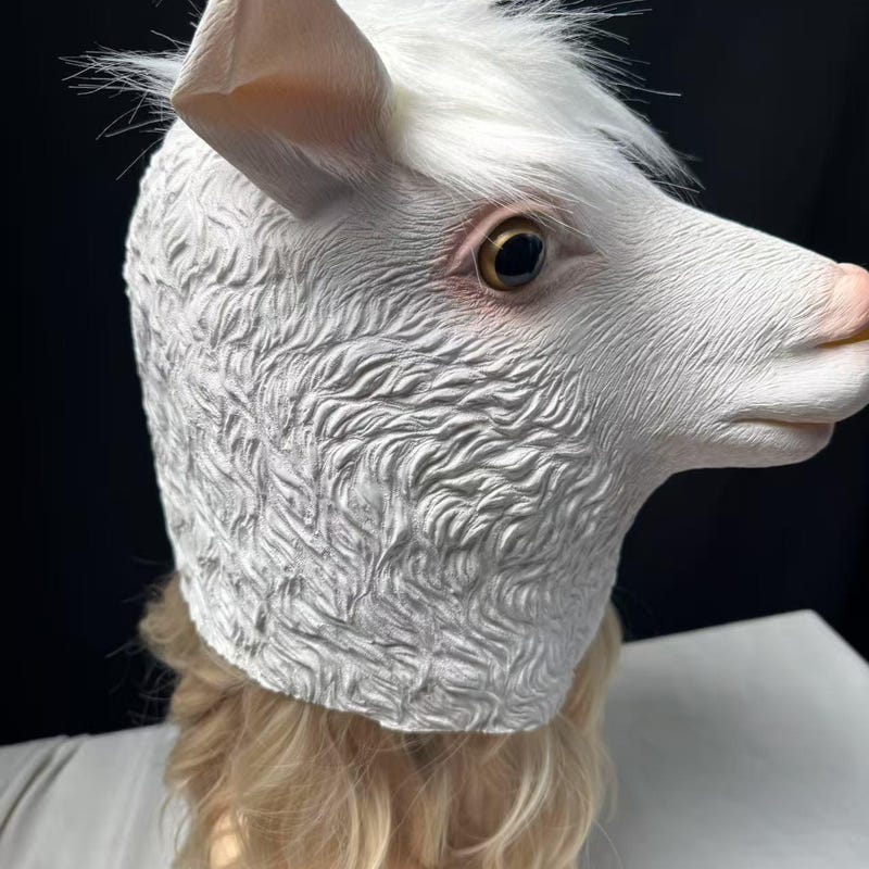 Raven Cosplay Latex - Etsy