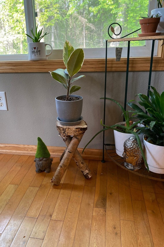 Rustic Wood Stand 4 Display Stand Rustic Design Plant - Etsy