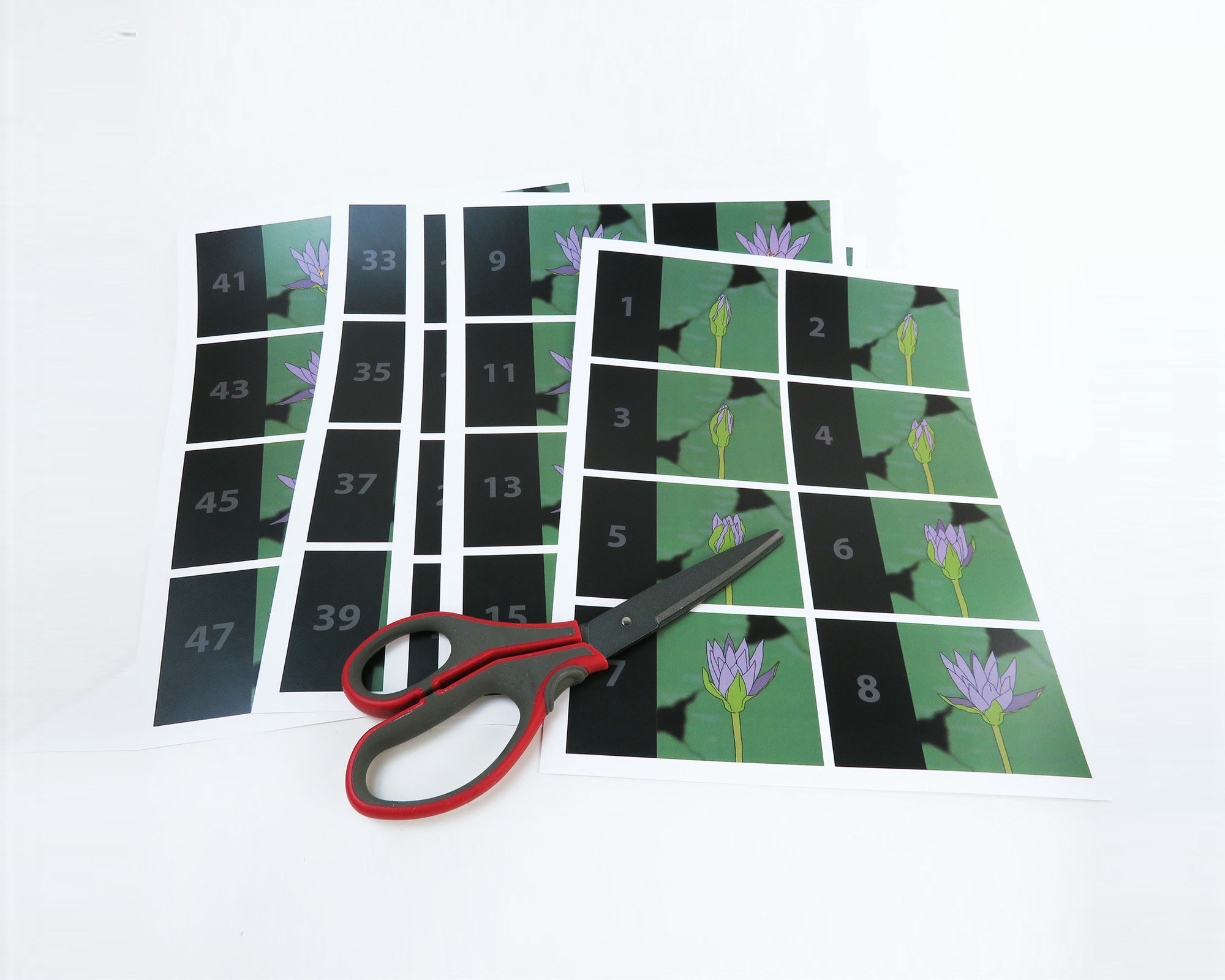 FLOWER Flipbook, DIY Flip Book, Animation, Printable Party Favors ...