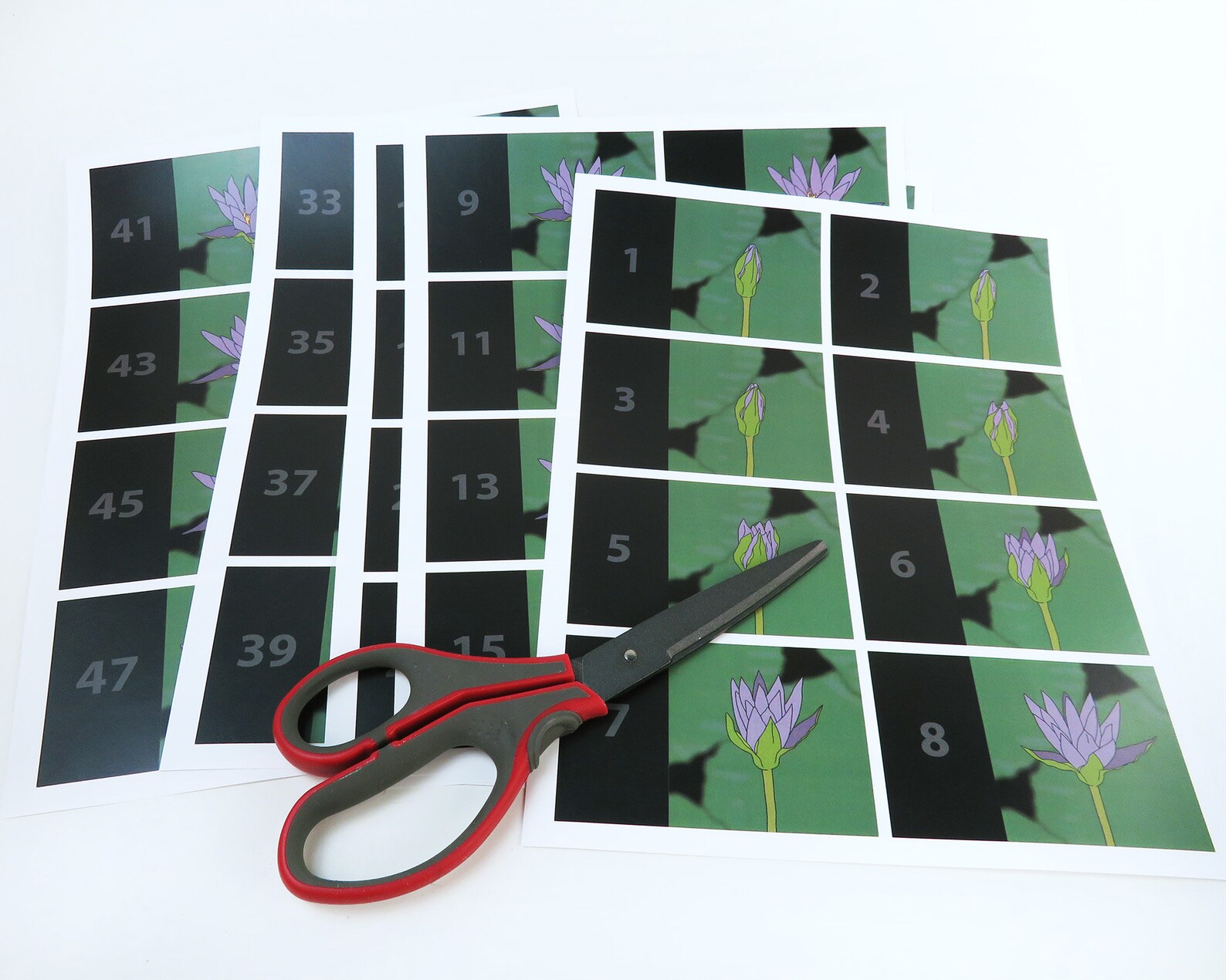 FLOWER Flipbook DIY Flip Book Animation Printable Party - Etsy
