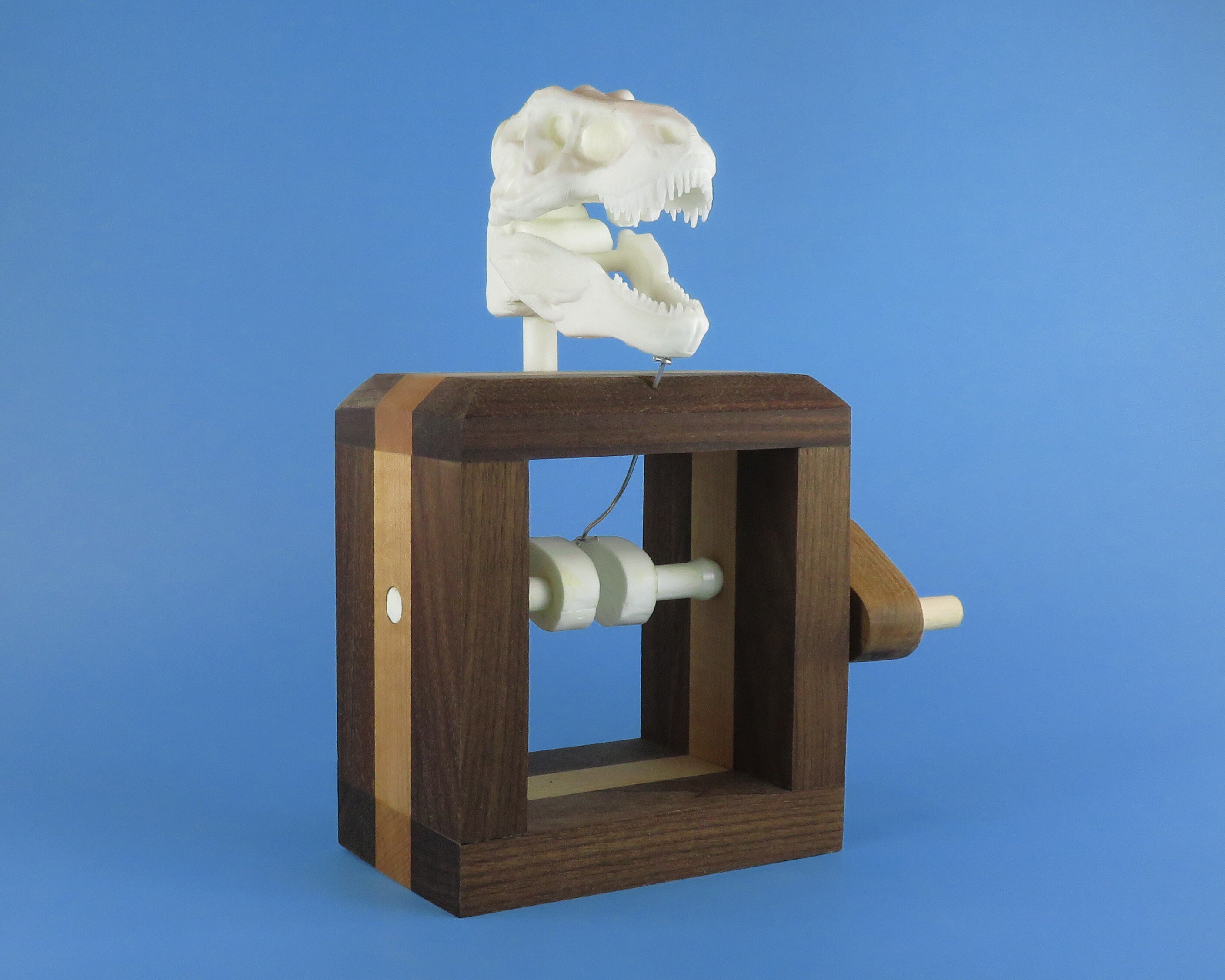 T-REX MOVING SCULPTURE, Tyrannosaurus Rex Skull, Moving Art Automata ...