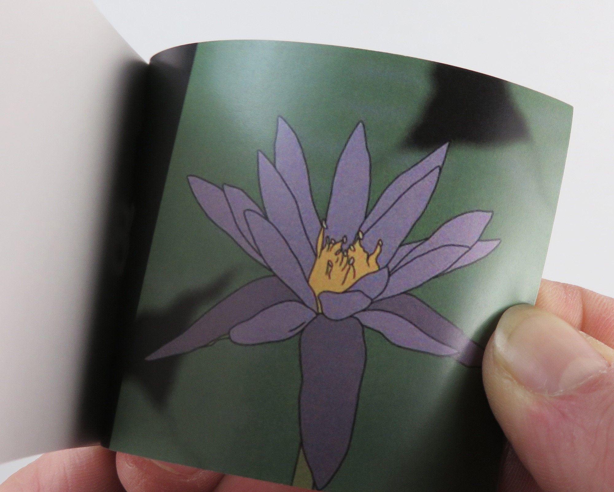 FLOWER Flipbook, DIY Flip Book, Animation, Printable Party Favors ...